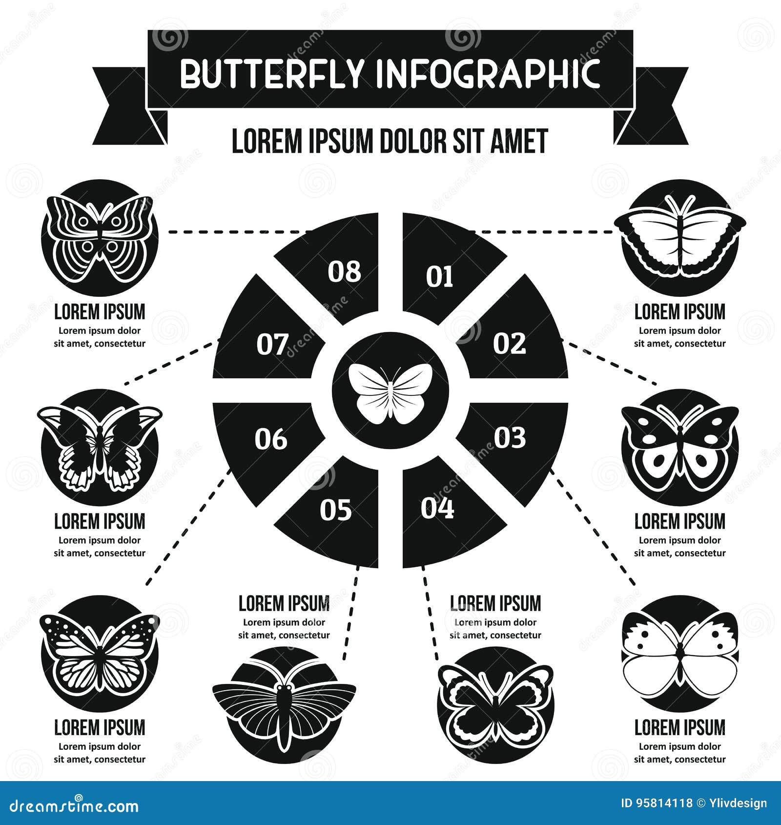 Butterfly Infographic Concept, Simple Style Stock Vector - Illustration ...