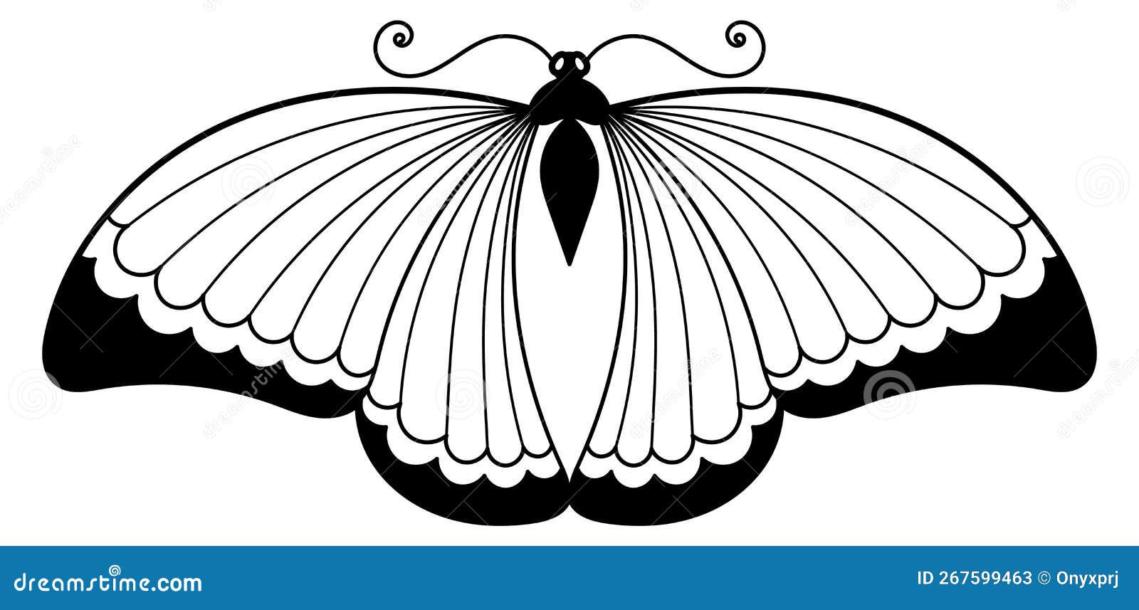 Butterfly Ink Drawing. Decorative Elegant Winged Insect Stock ...