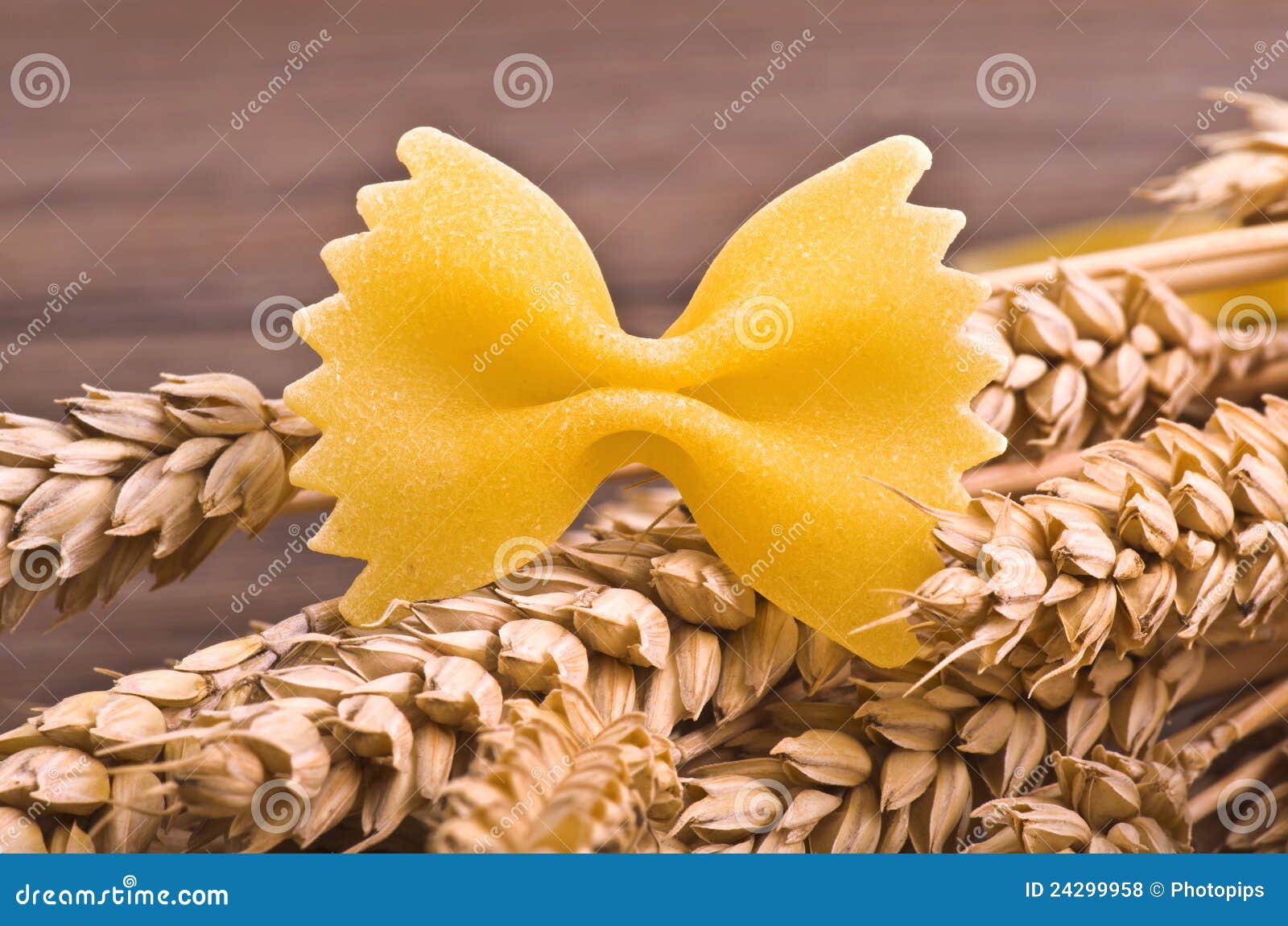 Butterfly italian pasta stock photo. Image of corkscrew - 24299958