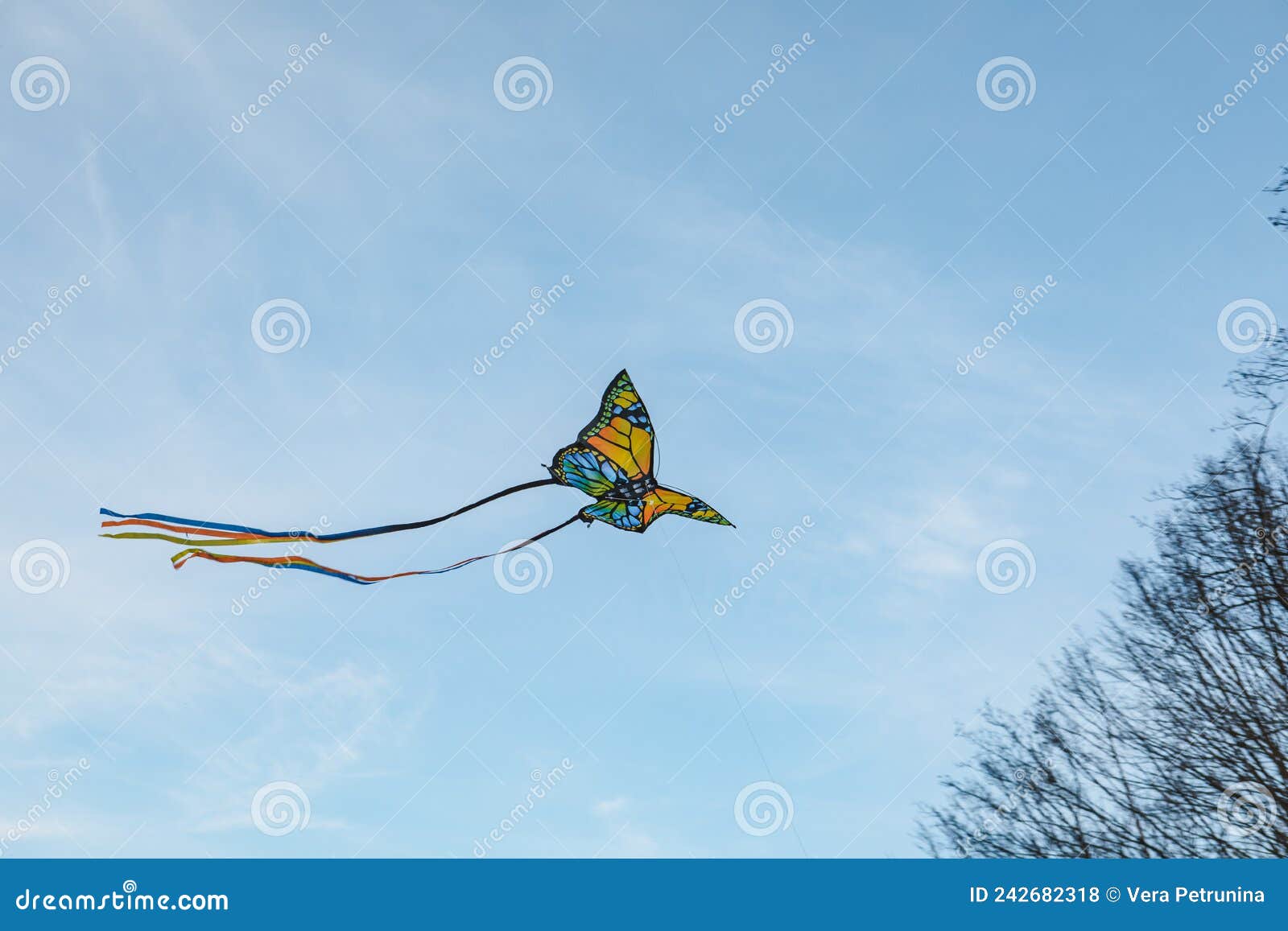 Butterfly kite in sky stock photo. Image of outdoors - 242682318