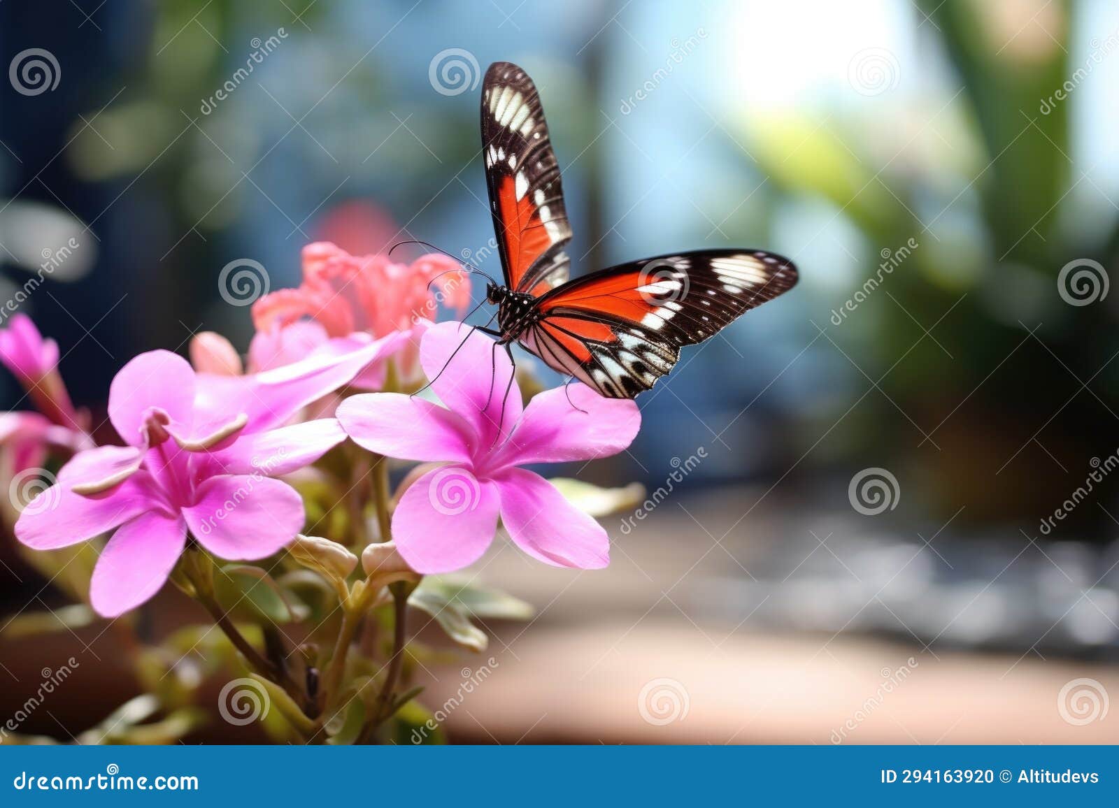 A Butterfly Landing on a Delicate Flower Petal Stock Illustration ...