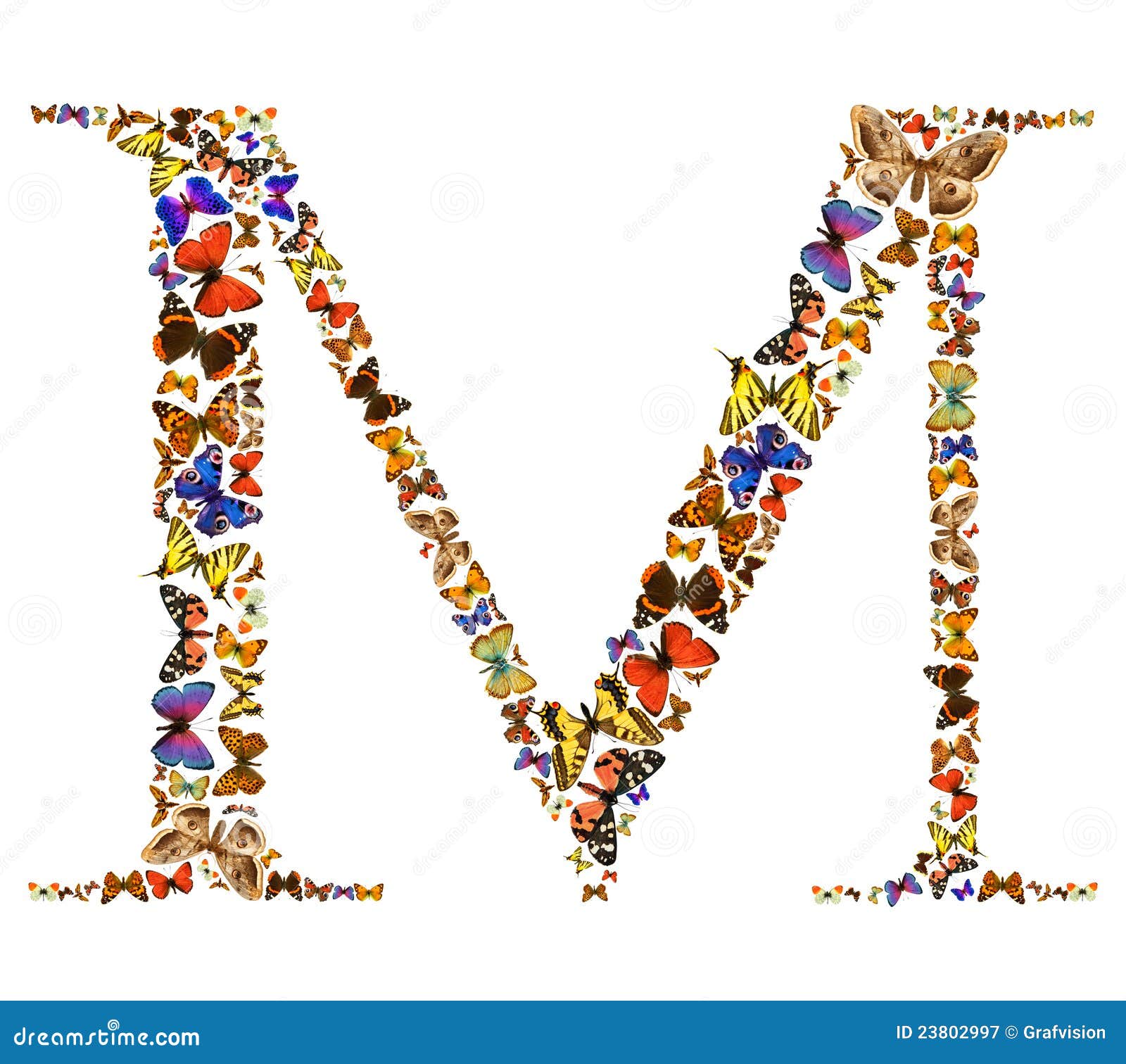 Butterfly letter stock image. Image of close, insect - 23802997