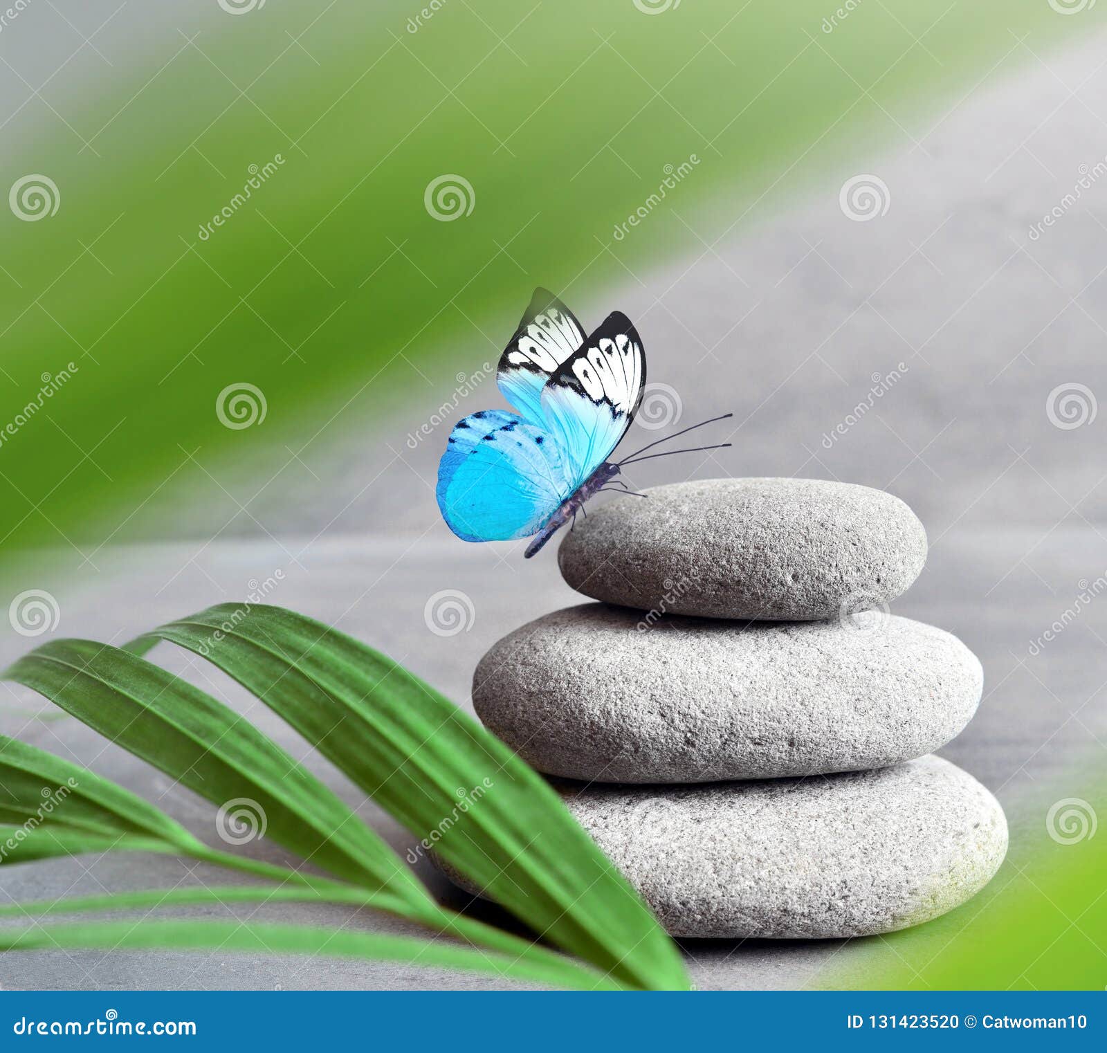 Butterfly, Light and Balanced Stones. Palm Leaf. Zen and Spa Concept ...