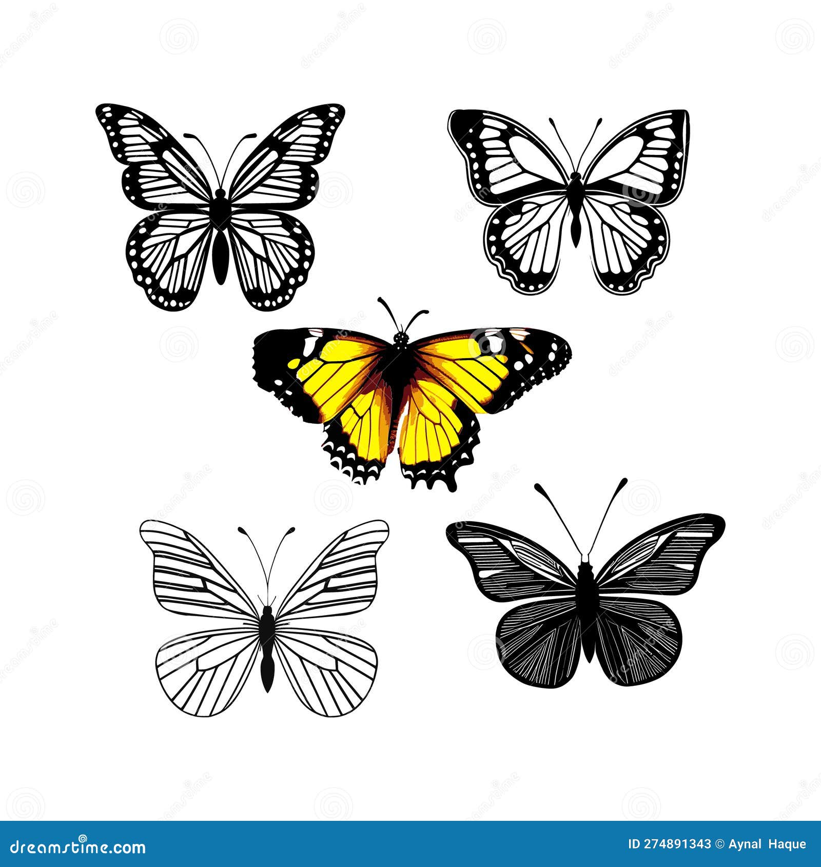 Butterfly Line Art Vector Drawing Stock Vector - Illustration of insect ...