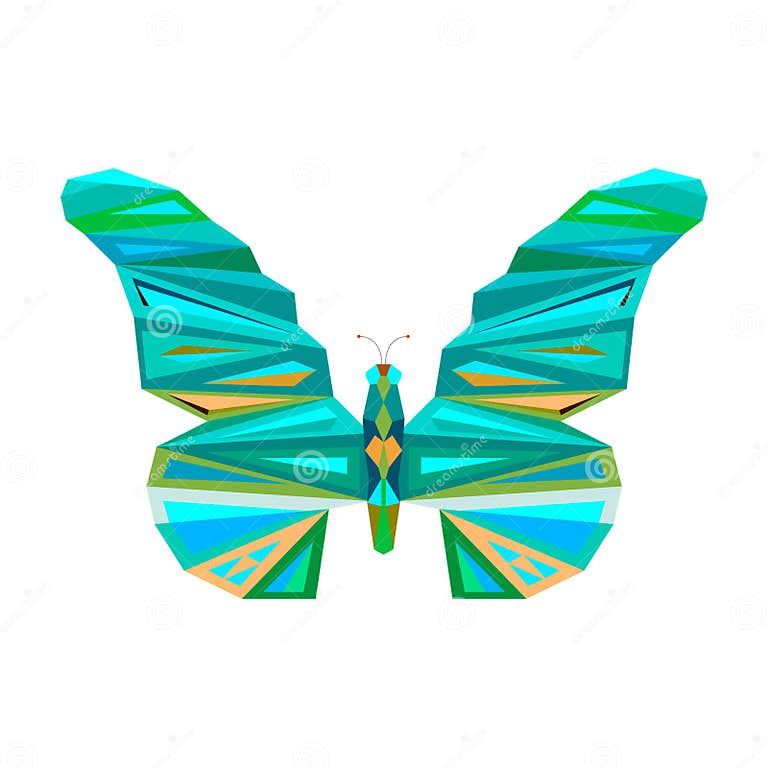 Butterfly Low Poly stock vector. Illustration of design - 160216544