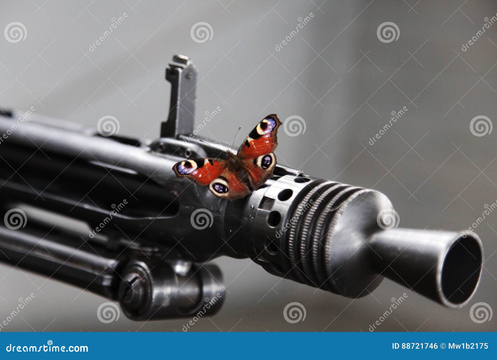 Butterfly on a Machinegun. Peacemaker Concept Stock Photo - Image of ...
