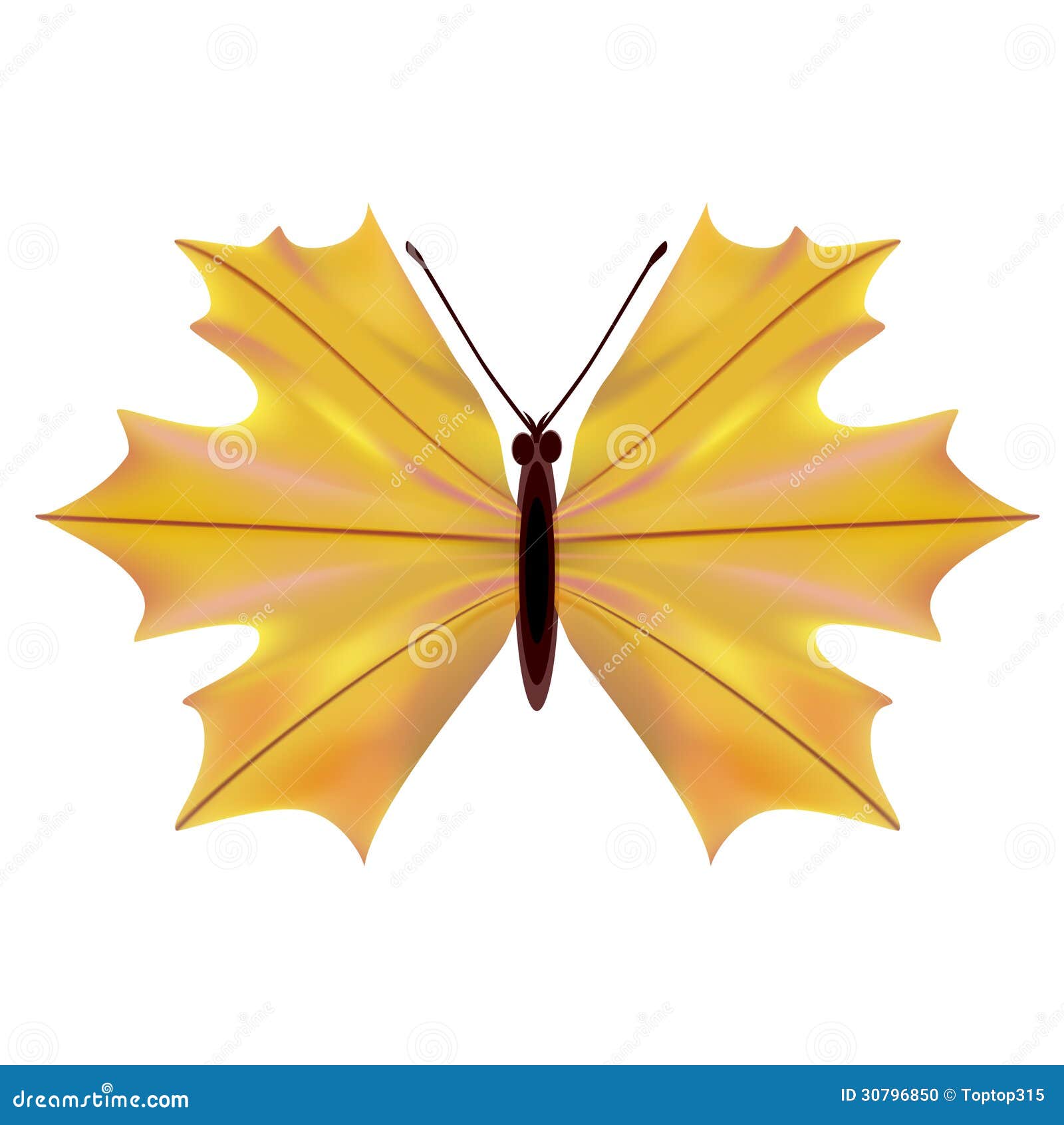 A Butterfly with a Maple Leaf Stock Illustration - Illustration of blue ...