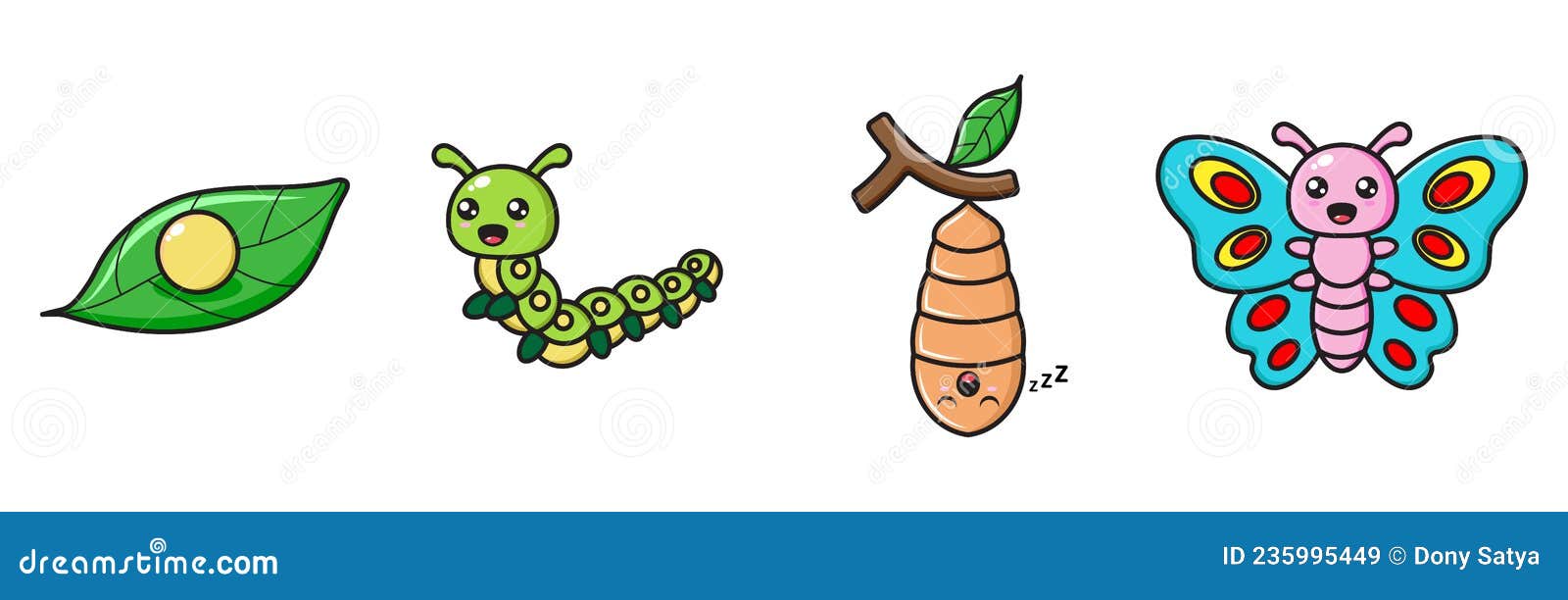 Butterfly Metamorphosis Illustration Stock Vector - Illustration of ...