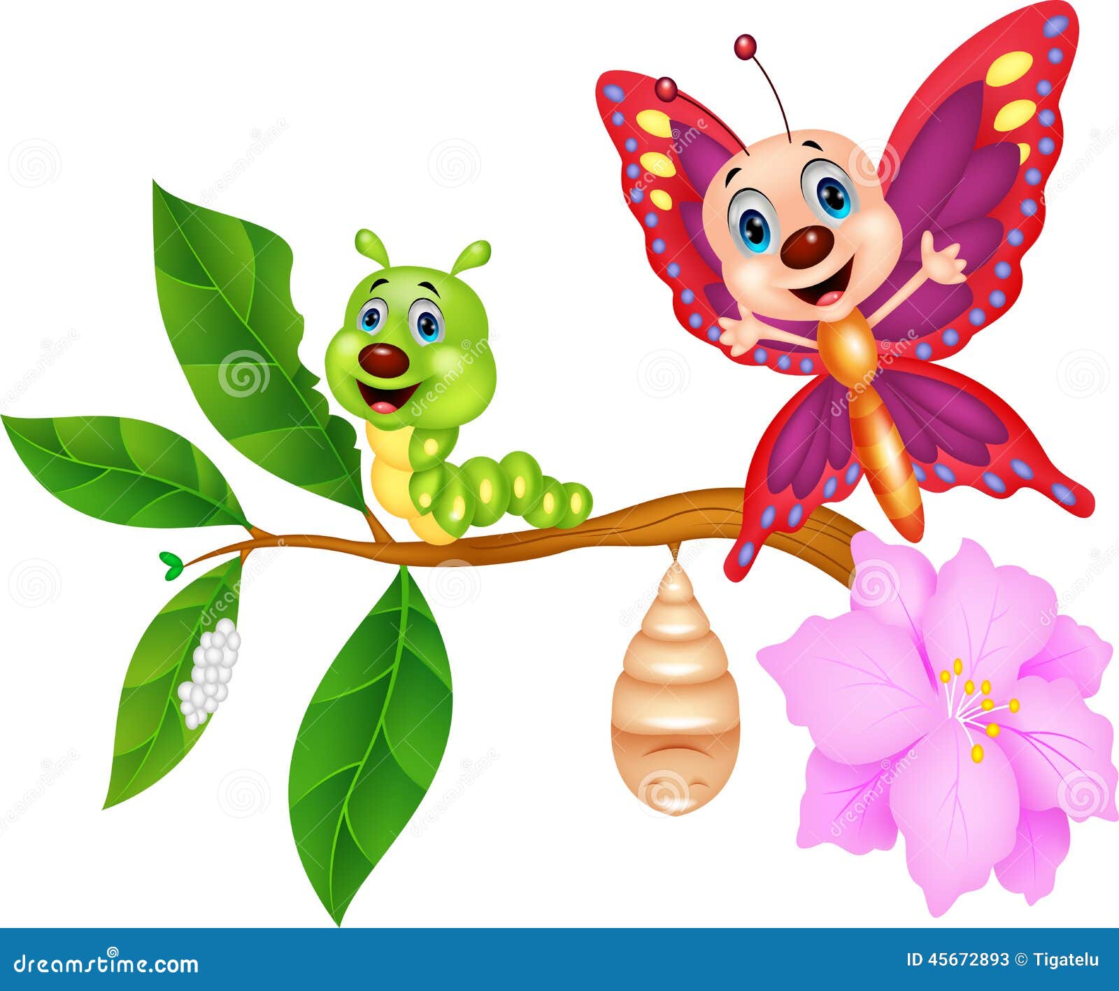 Butterfly metamorphosis stock vector. Illustration of cycle - 45672893