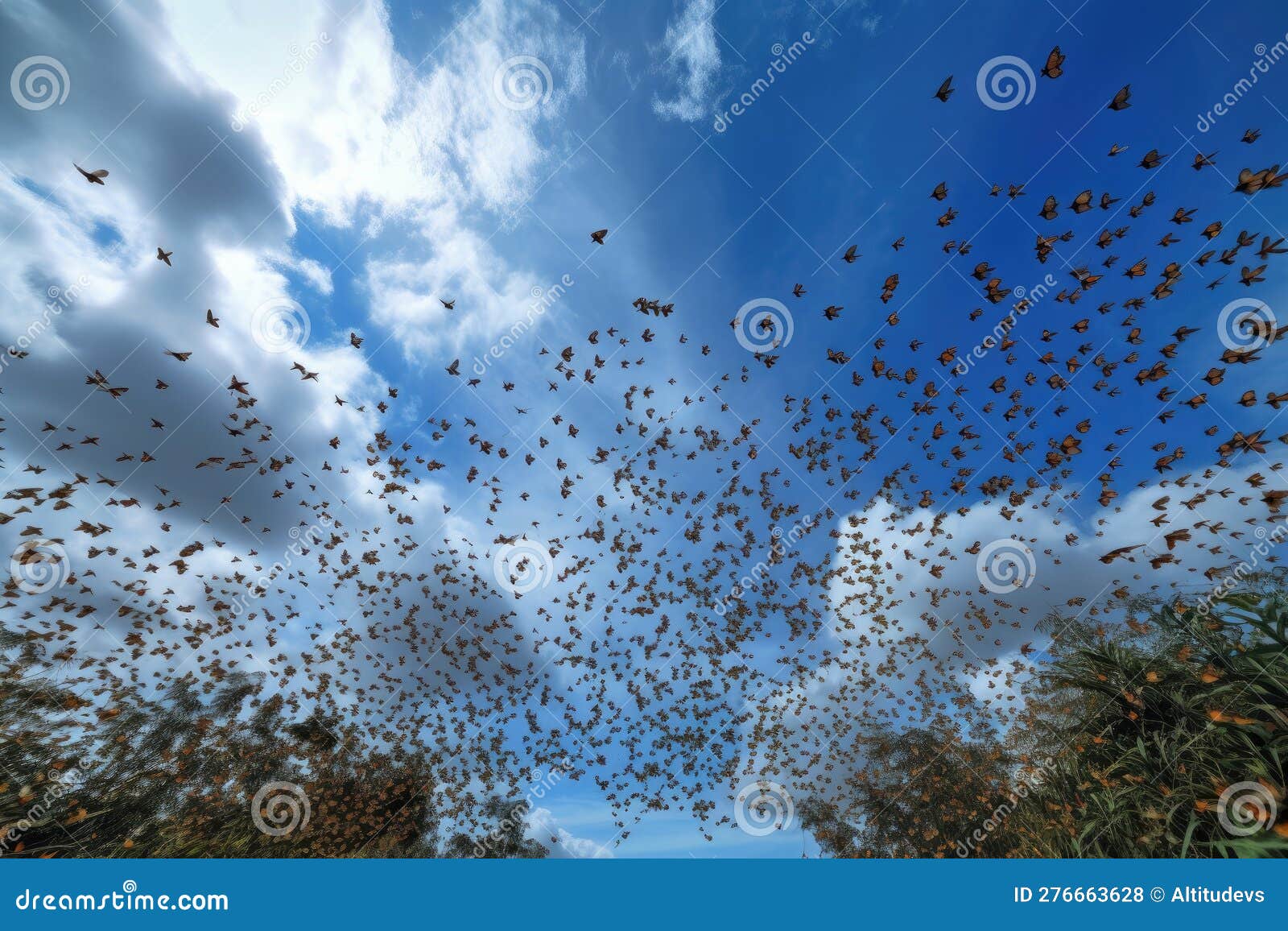 Butterfly Migration Across the Sky, with Clouds and Blue Skies As a ...