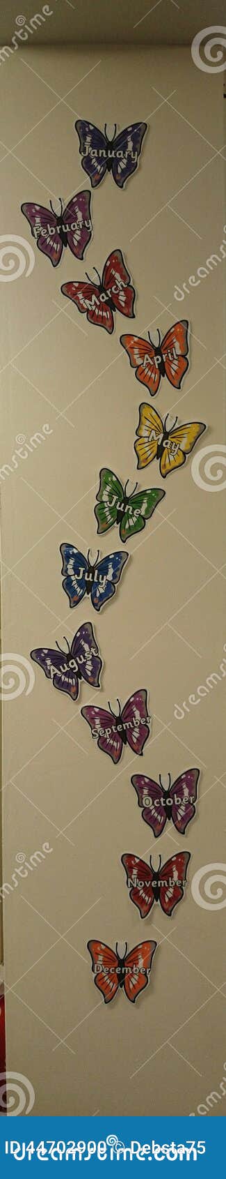 Butterfly months stock photo. Image of class, months - 44702900