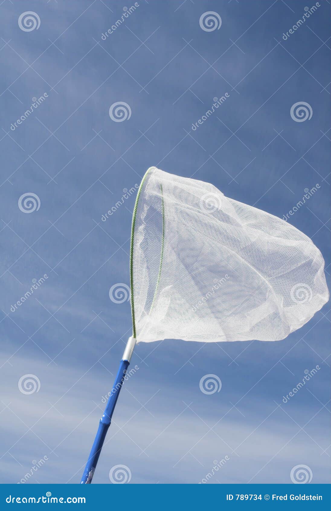 Butterfly net stock photo. Image of insect, stick, stand - 789734