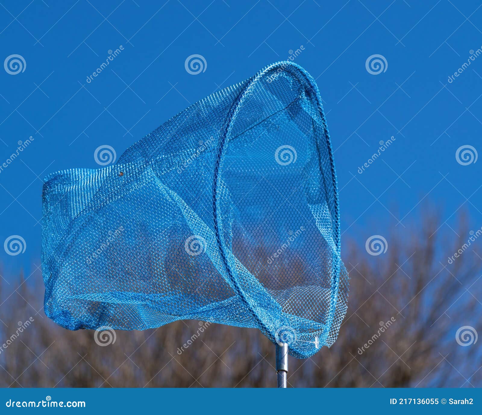 Butterfly Net Over Blue Sky. Stock Image - Image of hoopnet, blue ...