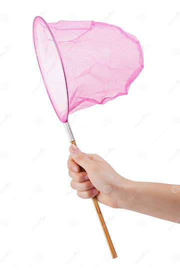 Butterfly Net for Catching Butterflies Stock Photo - Image of color ...