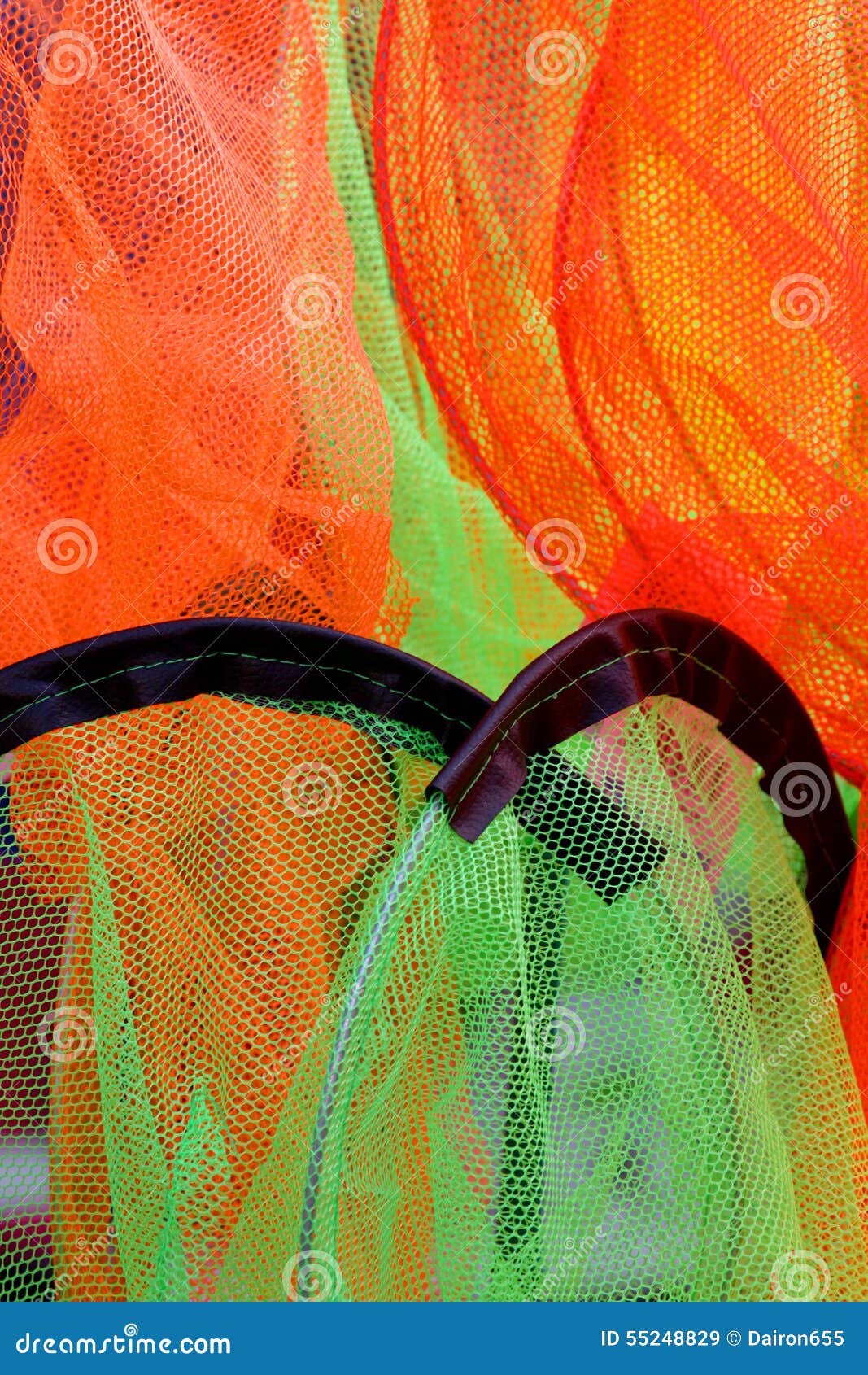 Butterfly Net stock image. Image of play, blue, multicolor - 55248829