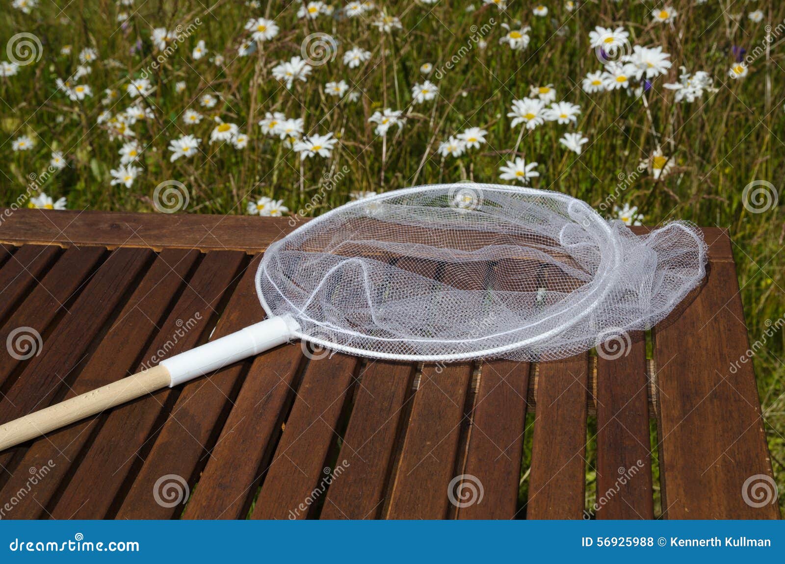 Butterfly net in a garden stock photo. Image of butterfly - 56925988