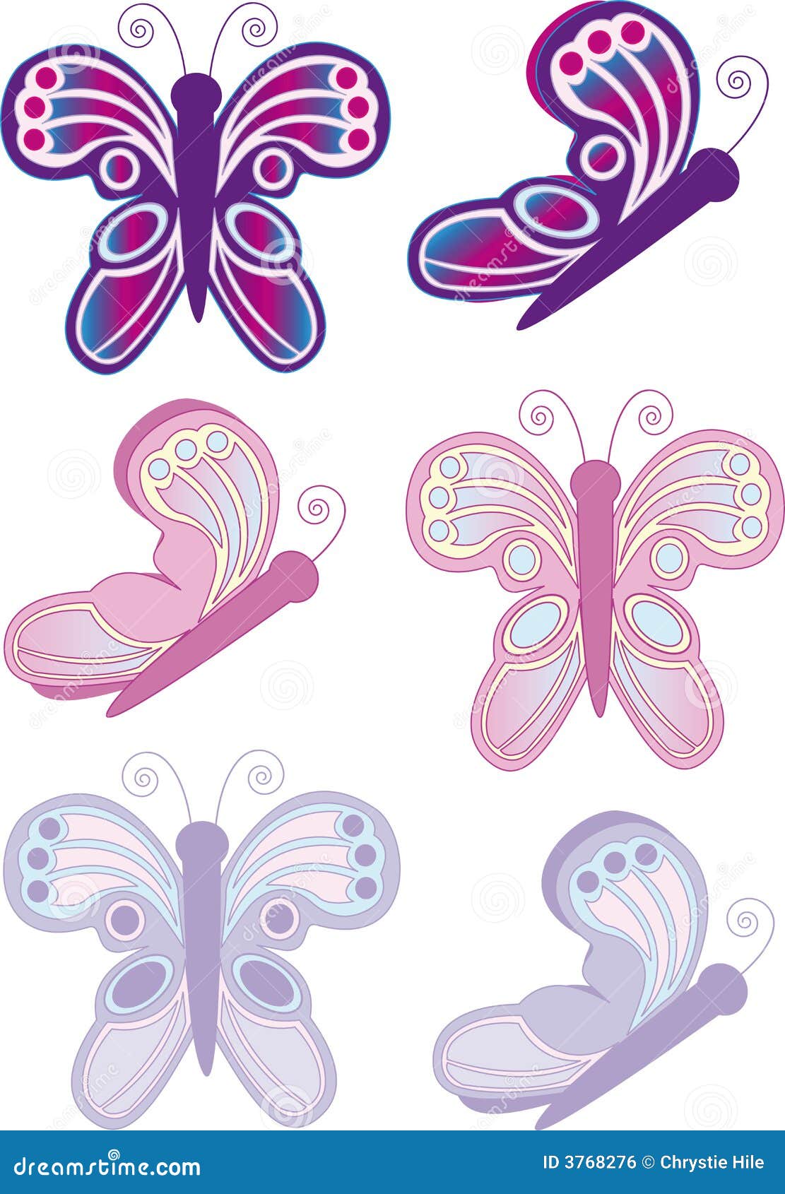 Butterfly Notes 2 stock vector. Illustration of insect - 3768276