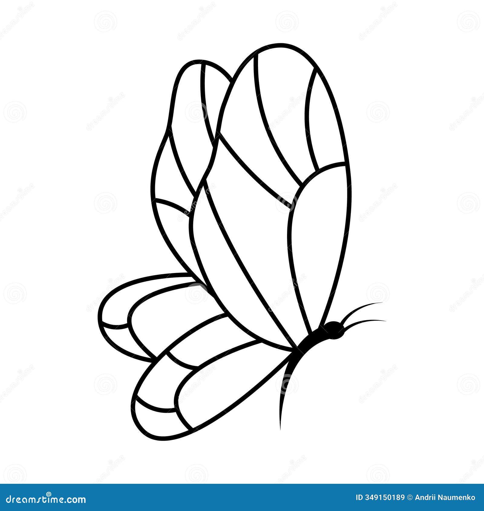 Butterfly Outline Vector Illustration Stock Vector - Illustration of ...