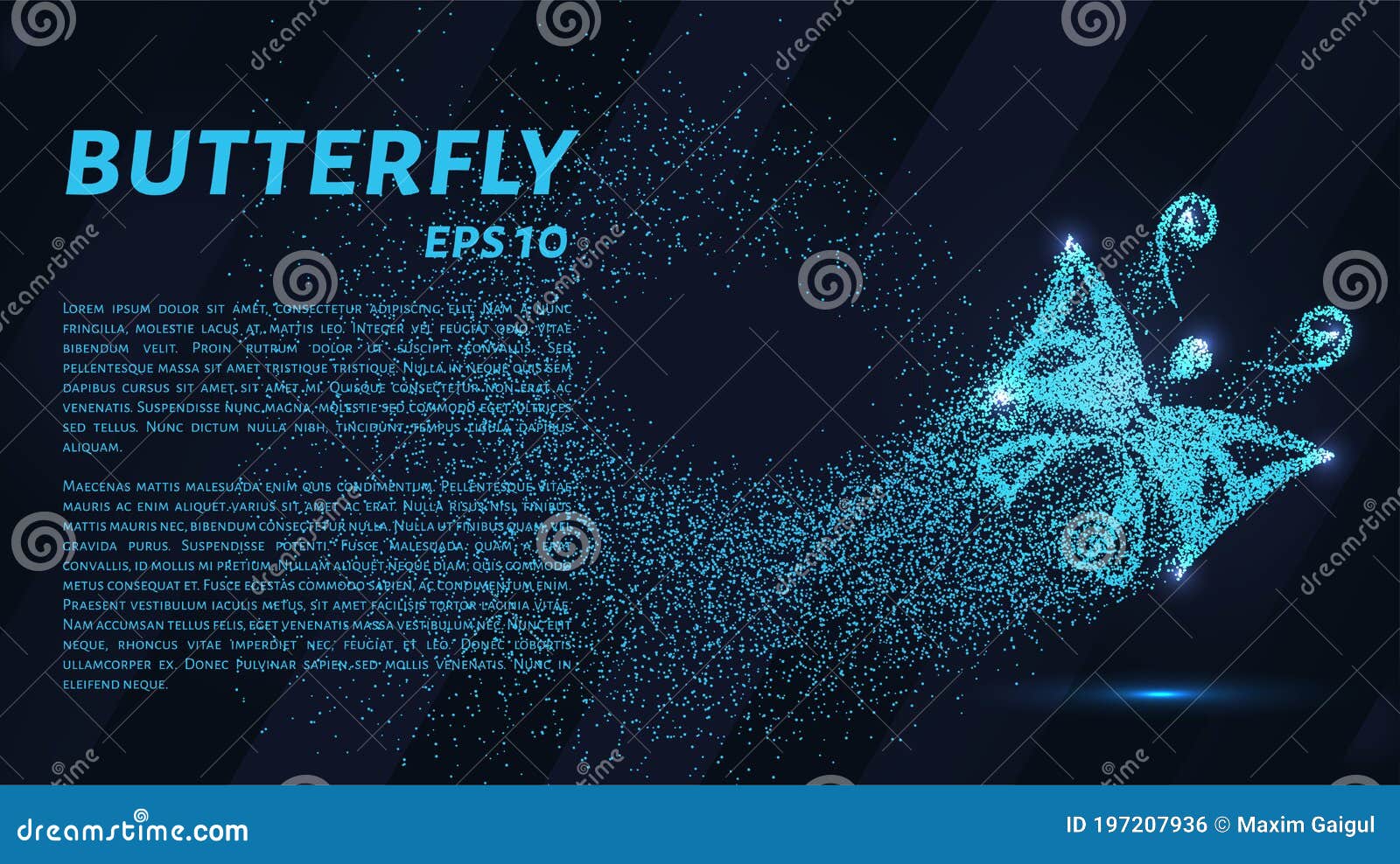 Butterfly of the Particles. the Butterfly Consists of Circles and ...