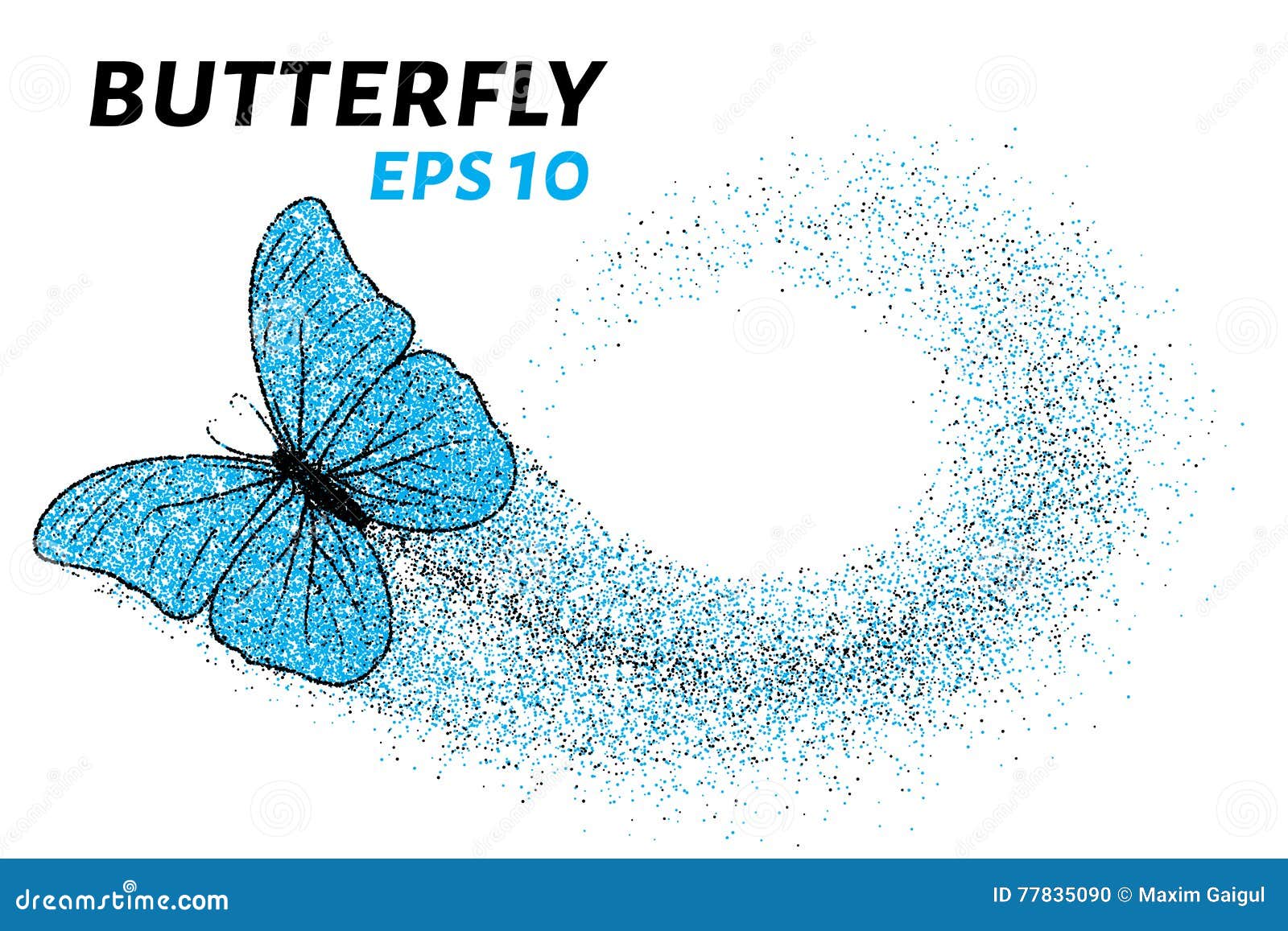 Butterfly of the Particles. of the Smaller Circles is a Butterfly ...
