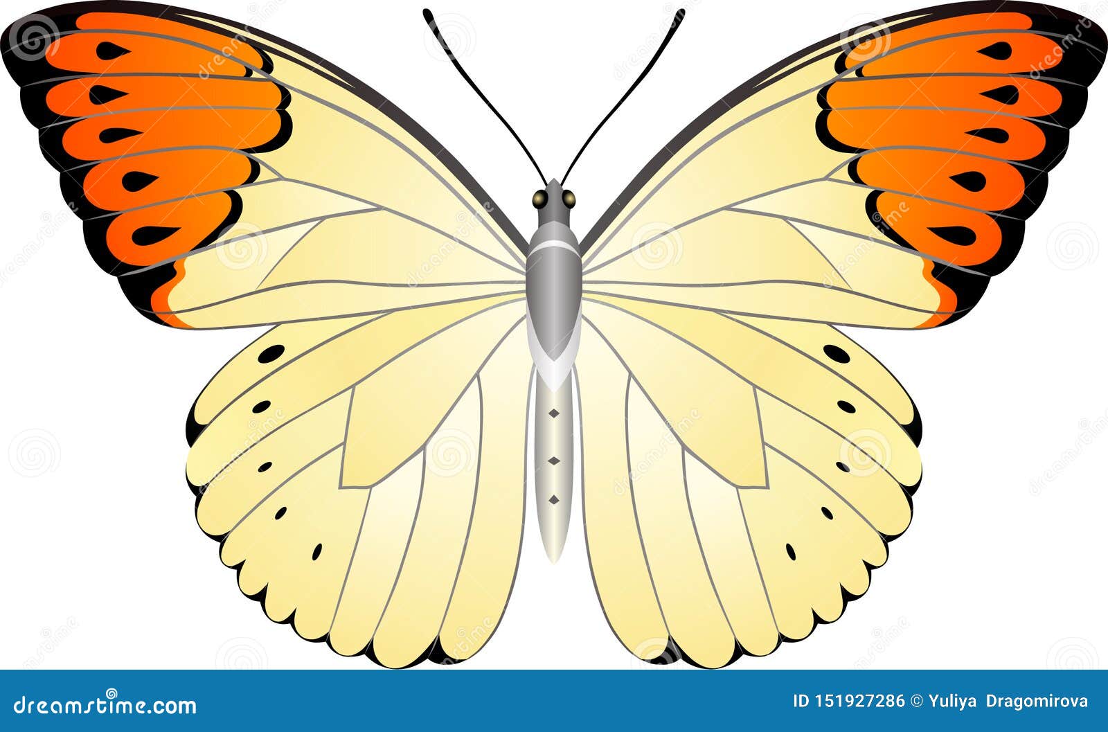 Pieridae Cartoons, Illustrations & Vector Stock Images - 14641 Pictures ...