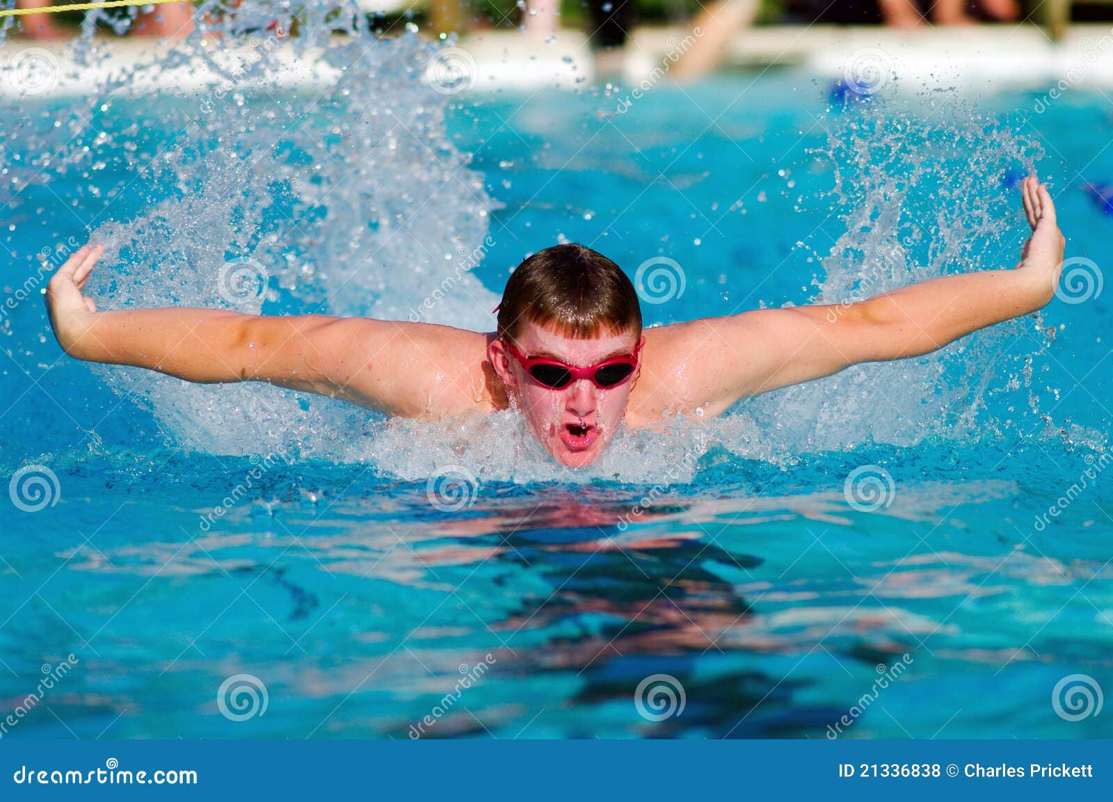 Butterfly Race stock photo. Image of action, exercise - 21336838