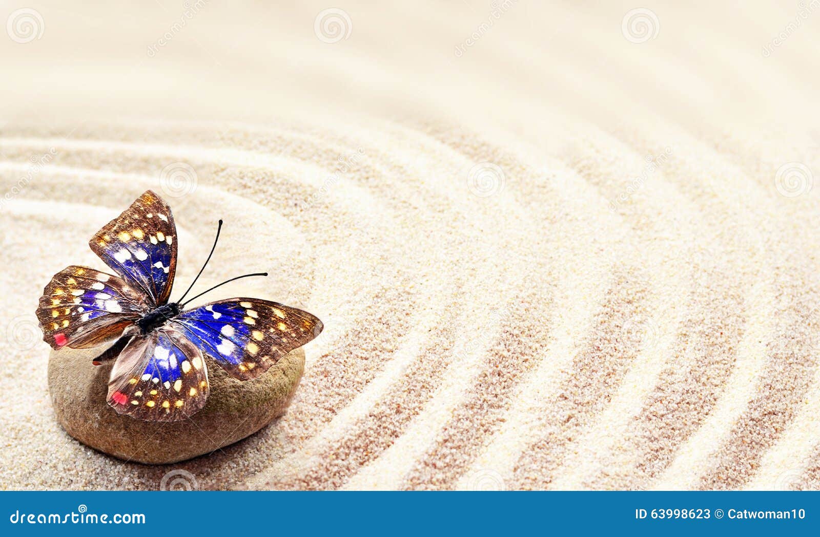 Butterfly on a Rock of Sand with Circles Stock Image - Image of relax ...