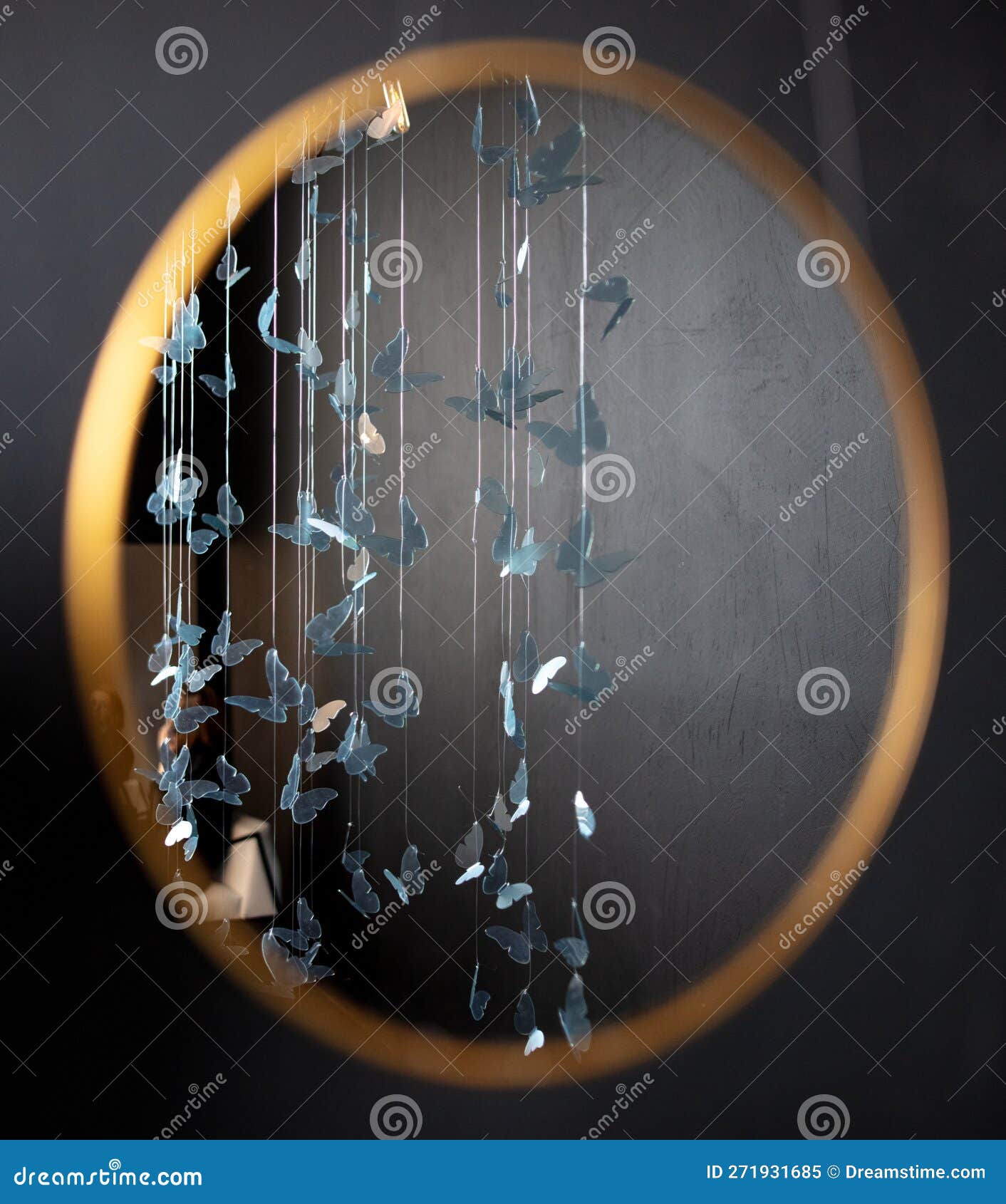 Butterfly Scenery Reflection in the Mirror Stock Image - Image of white ...