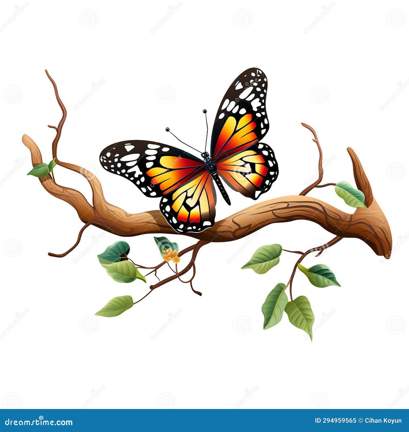 Butterfly science project stock illustration. Illustration of graphic ...