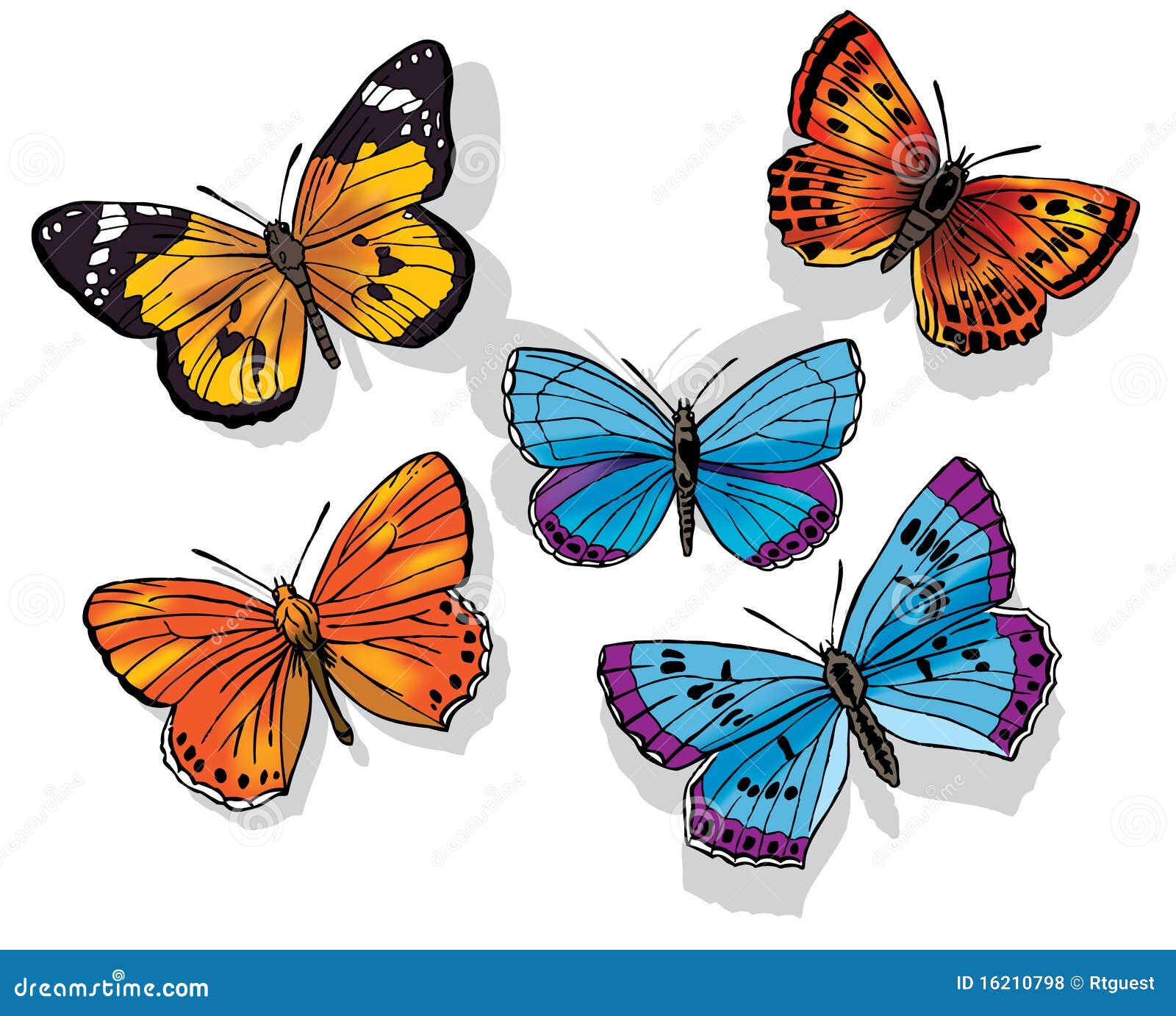 Butterfly Set stock vector. Illustration of butterflies - 16210798