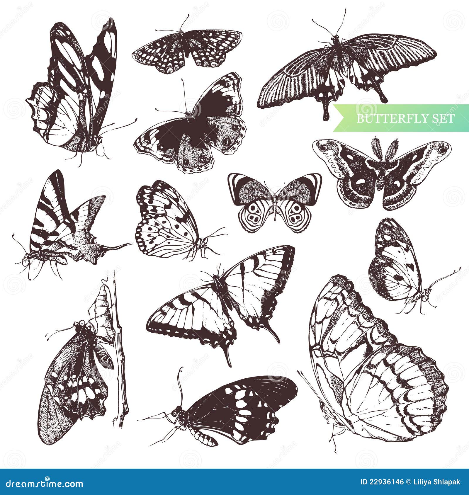 Butterfly set. stock vector. Illustration of delicate - 22936146