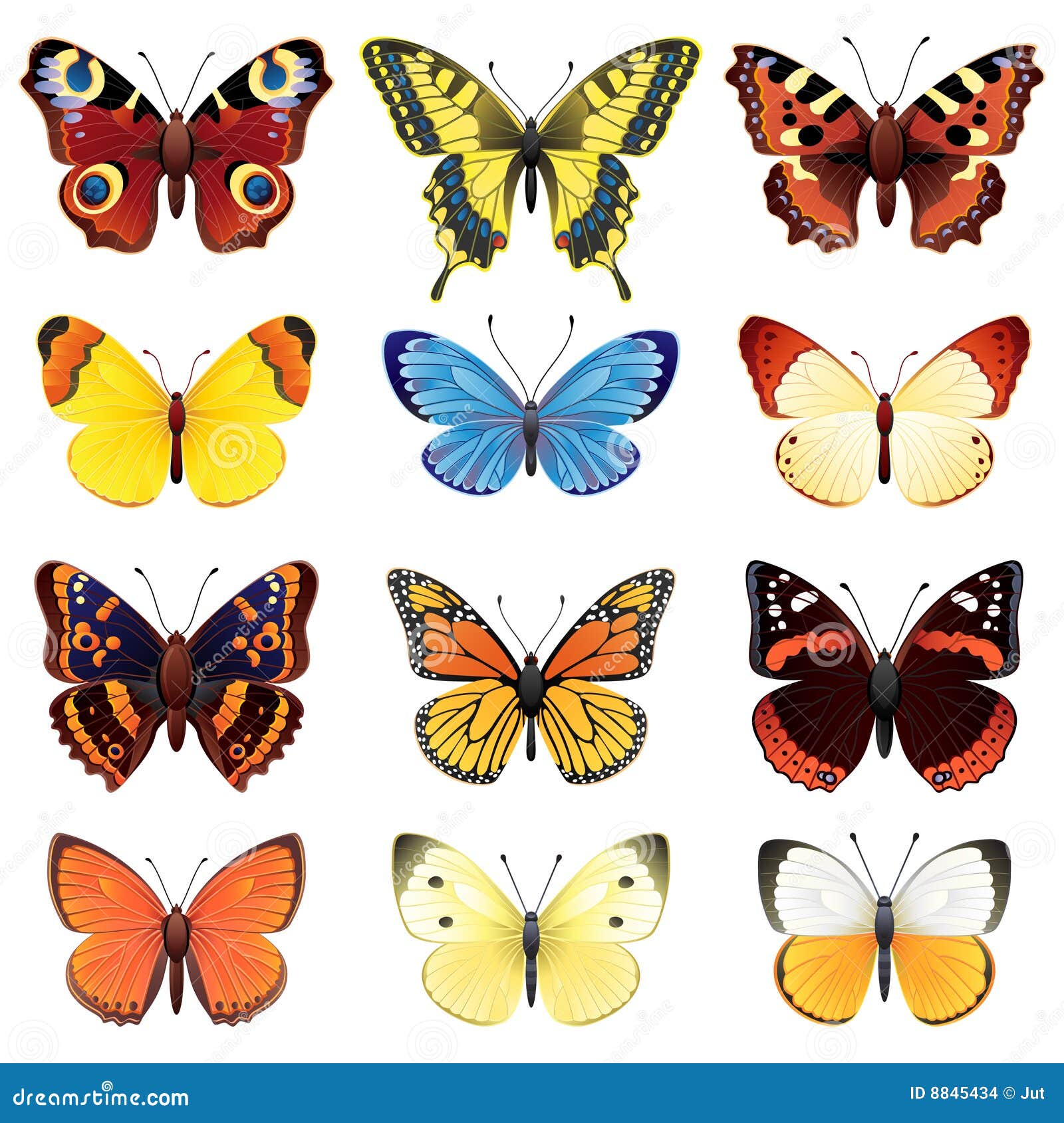 Butterfly set stock vector. Illustration of animals, admiral - 8845434