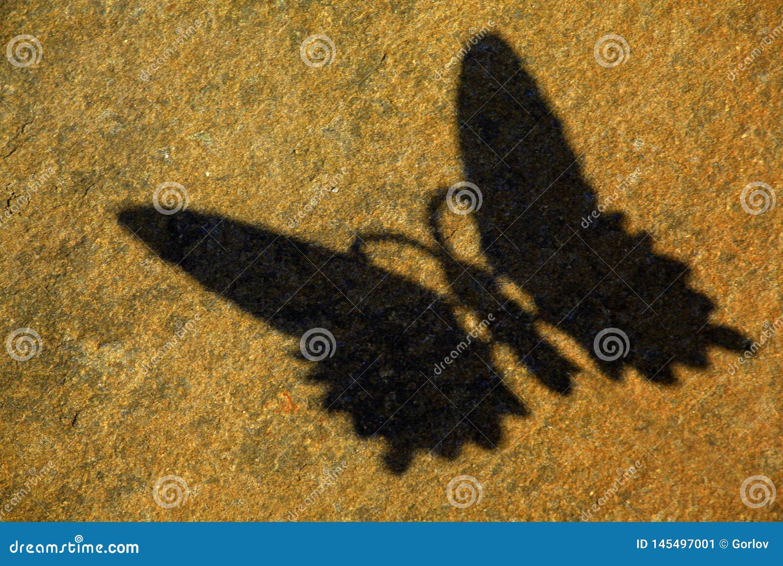 Butterfly Shadow Stone Background Stock Image - Image of beautiful ...