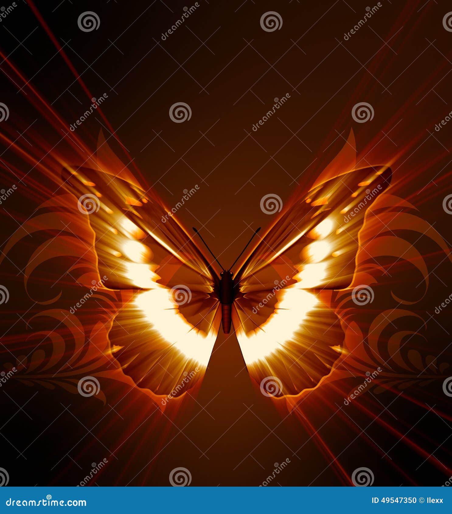Butterfly with shine stock illustration. Illustration of shine - 49547350