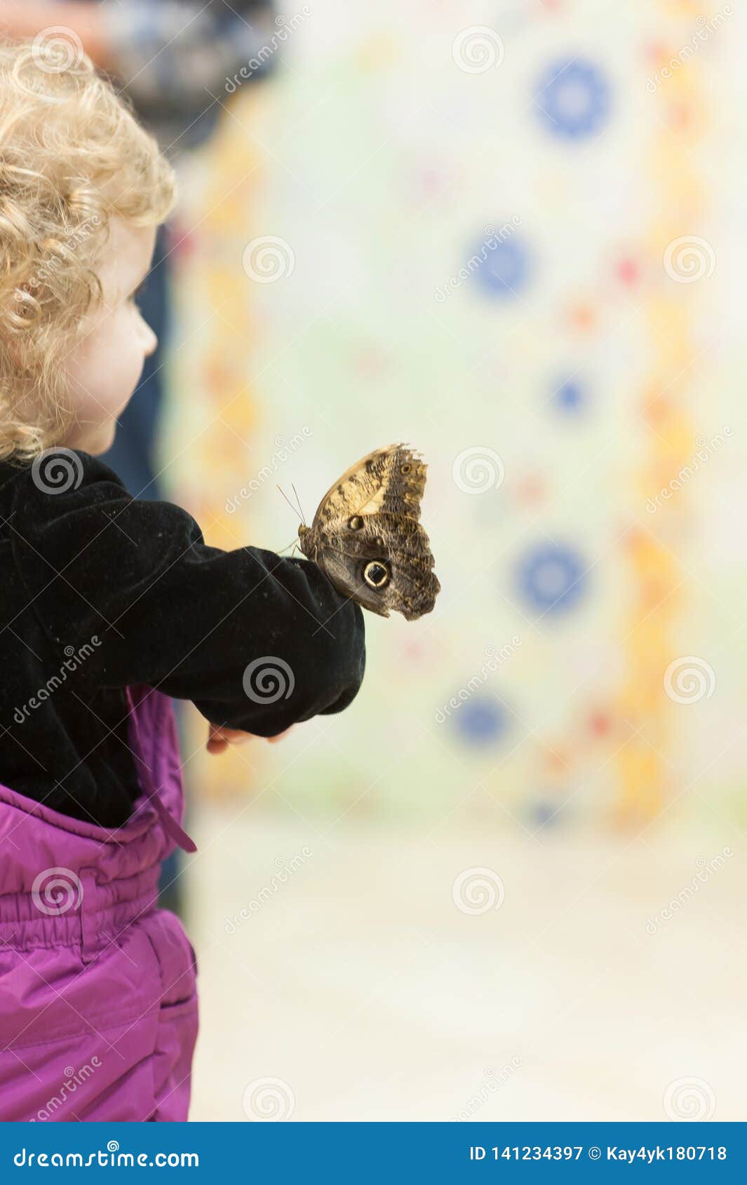 A Butterfly Sits on the Hand of a Boy. Butterfly Show Editorial ...