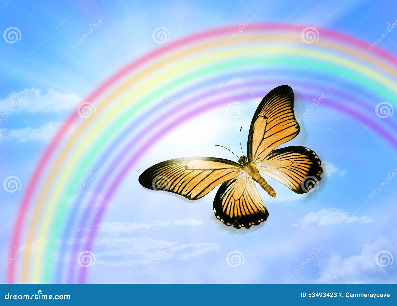 Rainbow Butterfly Stock Photo | CartoonDealer.com #20599662