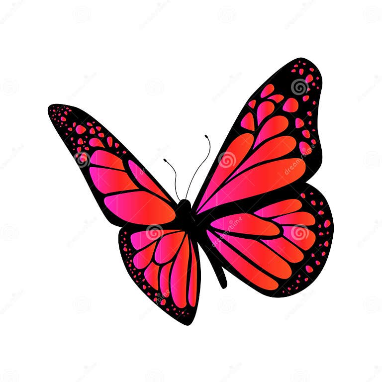 Butterfly Sprite Wing Sitting on a Surface Stock Illustration ...