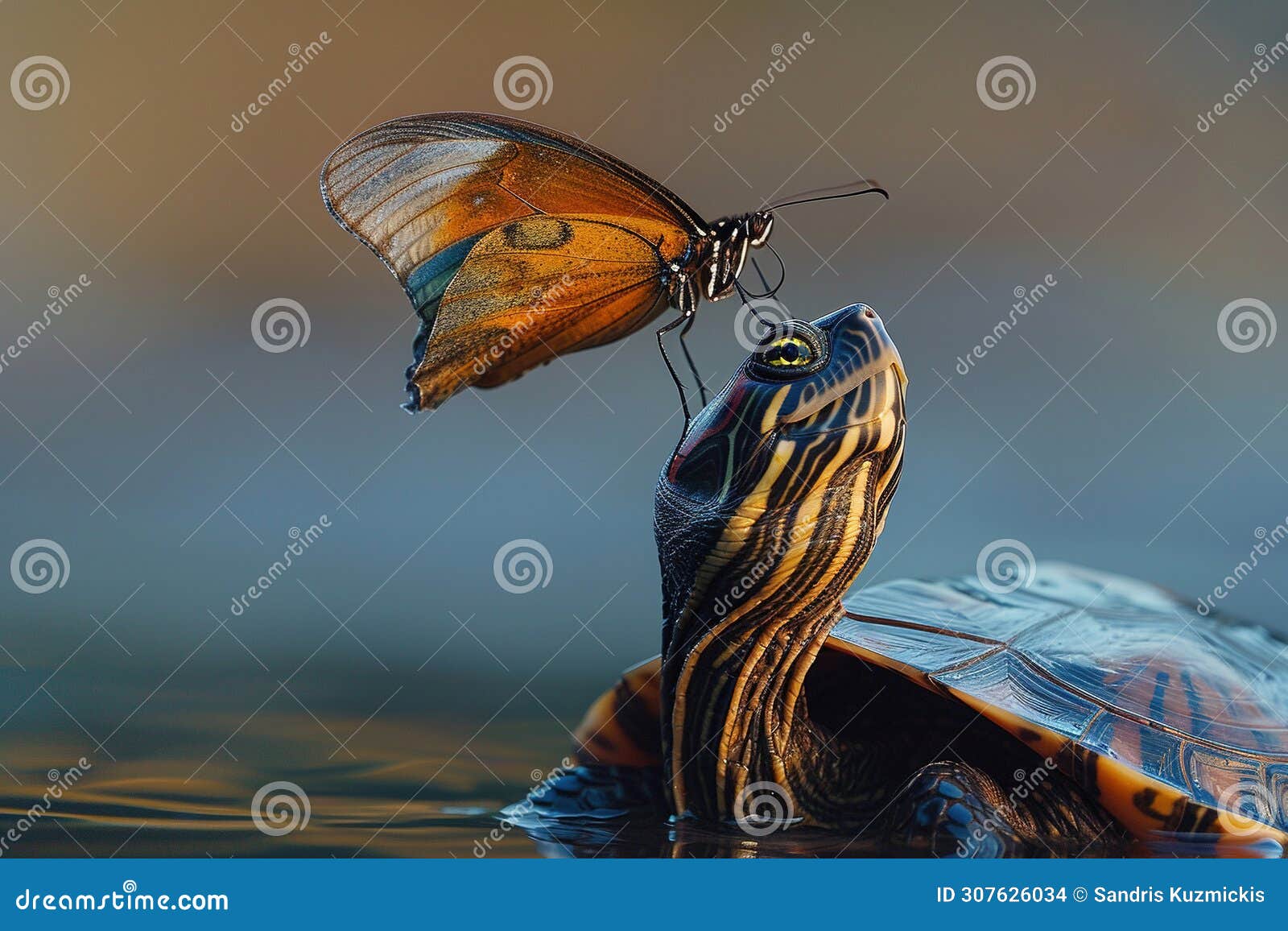 A Butterfly Stand on the Nose of a Turtle. Generative AI Stock ...