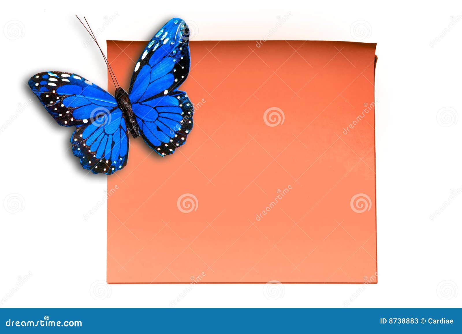 Butterfly on sticky note stock image. Image of information - 8738883