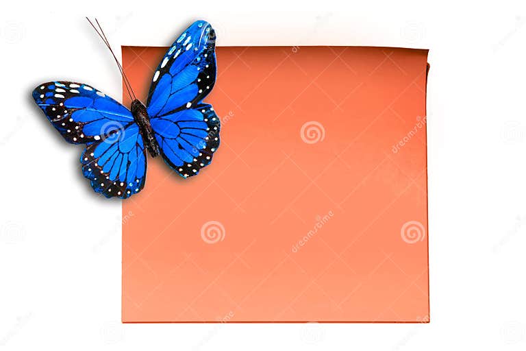 Butterfly on sticky note stock image. Image of information - 8738883