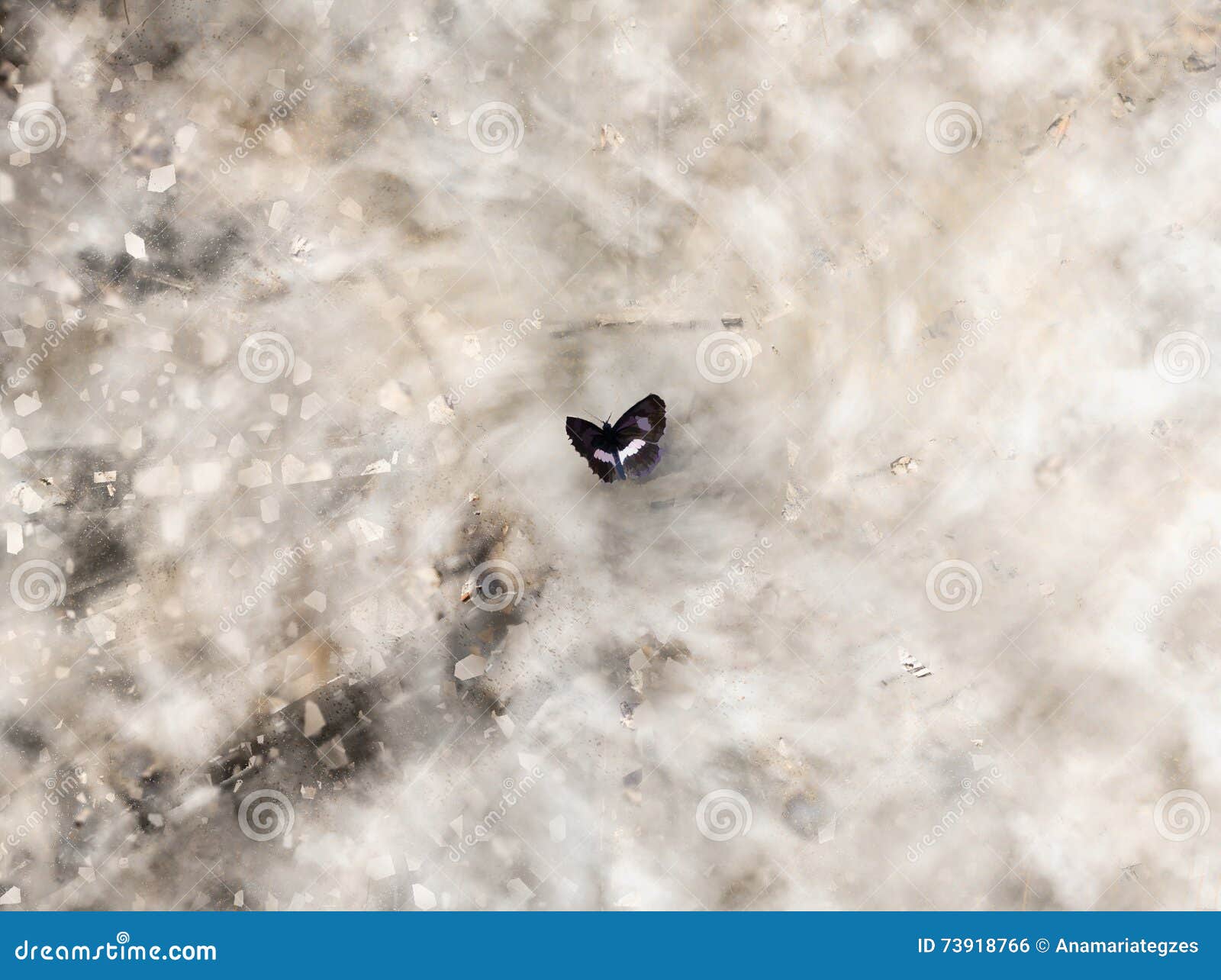 Butterfly in the Storm stock illustration. Illustration of survive ...