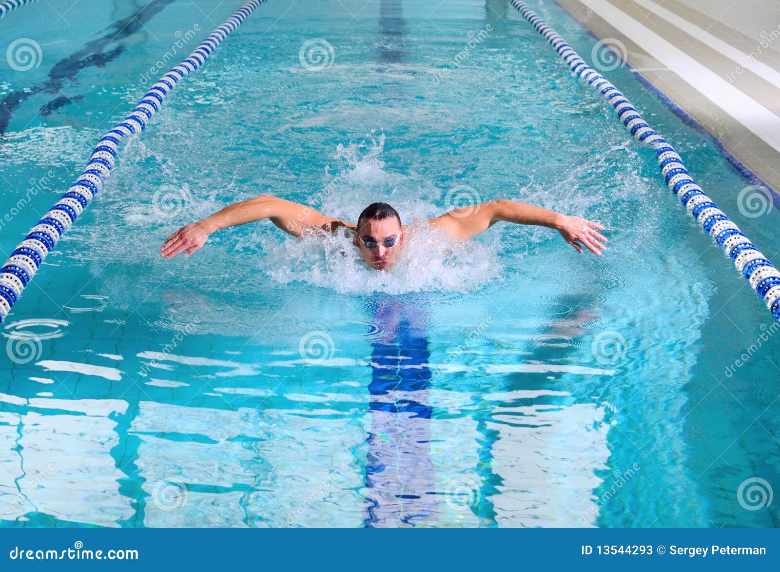 Butterfly stroke stock image. Image of active, lane, competition - 13544293