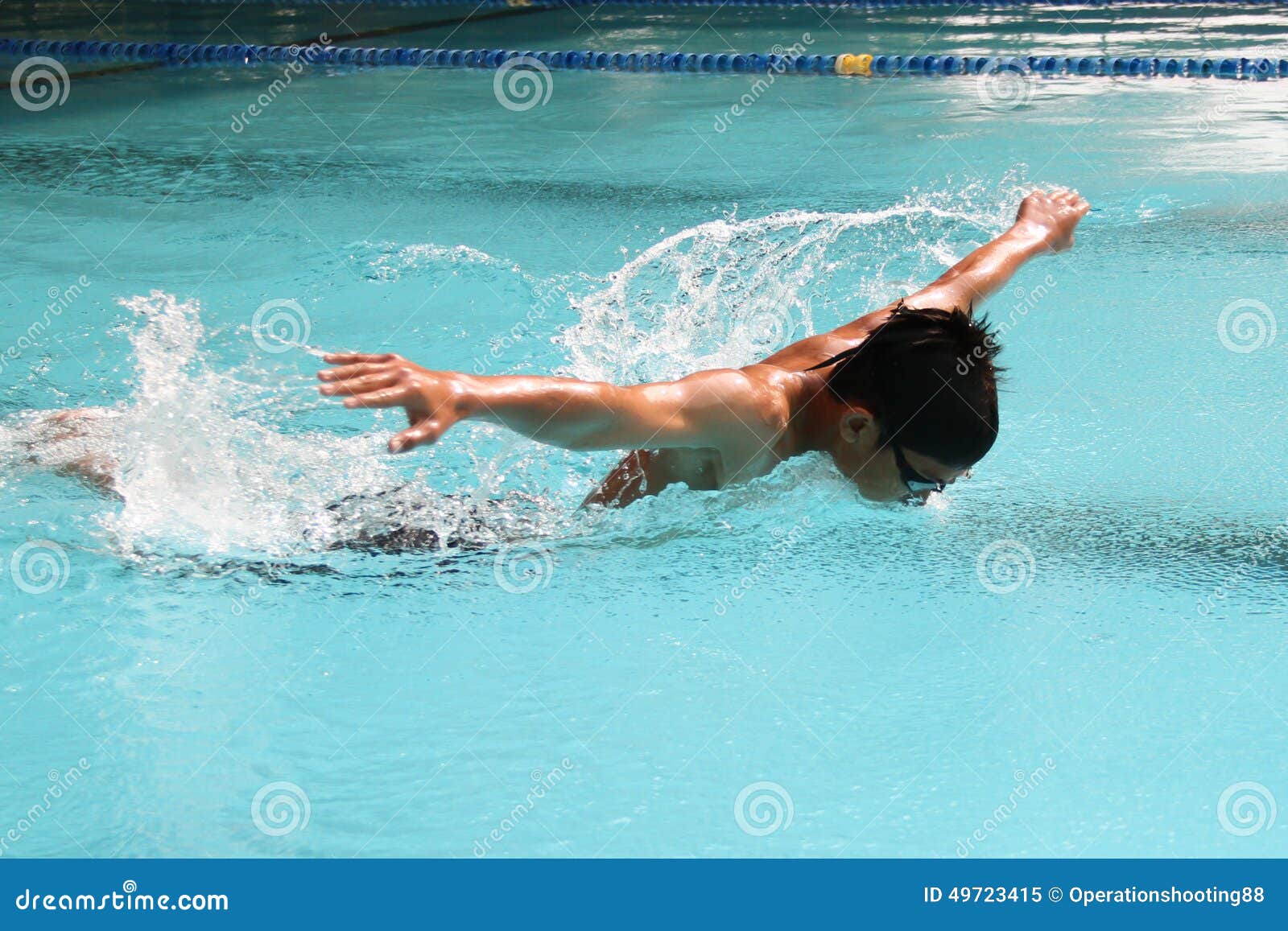 Butterfly stroke stock image. Image of blue, adult, butterfly - 49723415