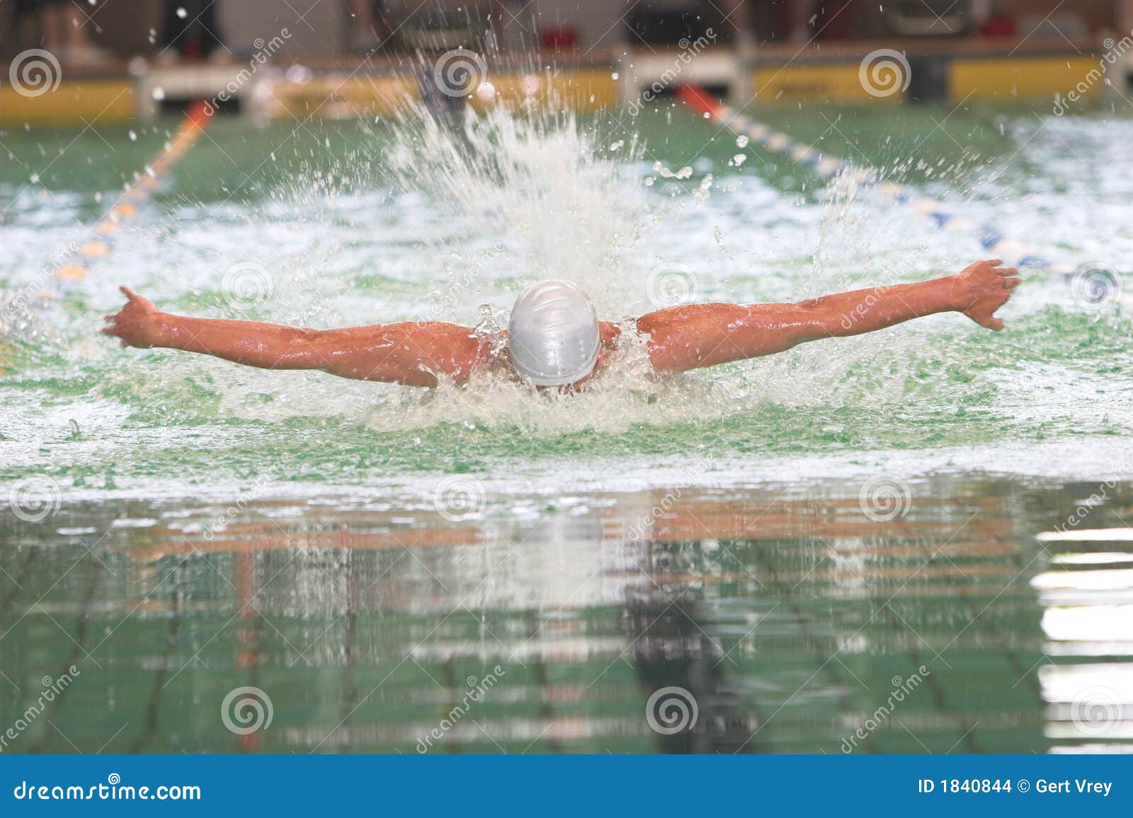 Butterfly swim stock photo. Image of male, pool, swimmer - 1840844