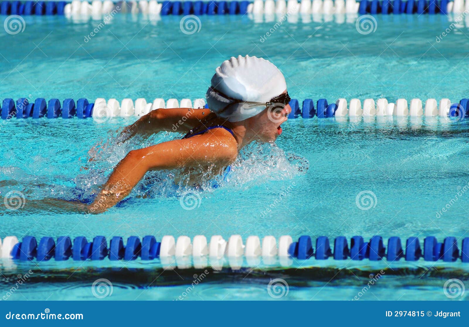 Butterfly Swimmer stock image. Image of swimmer, teamwork - 2974815