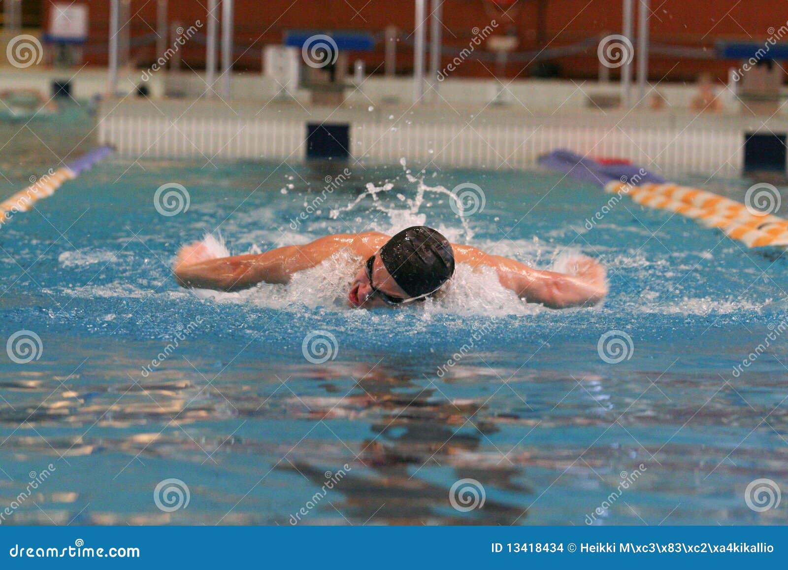 Butterfly Swimming stock photo. Image of wave, racing - 13418434