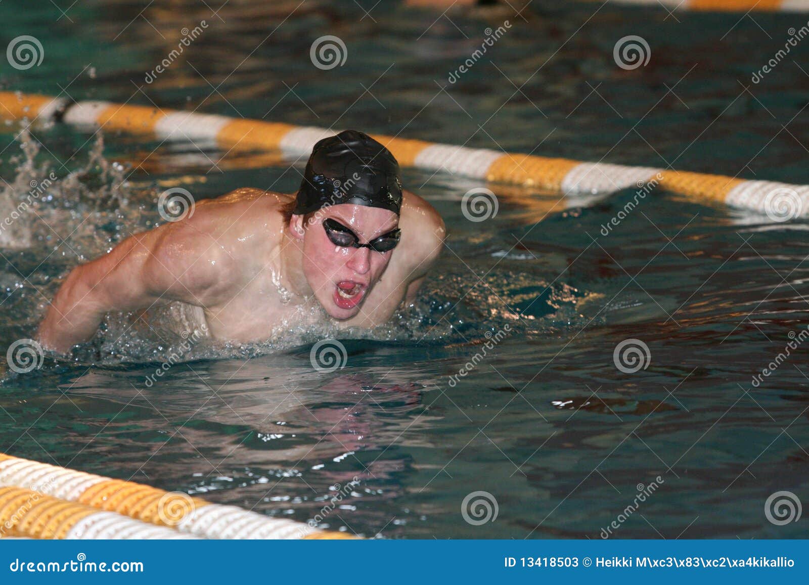 Butterfly Swimming stock image. Image of powerful, pool - 13418503