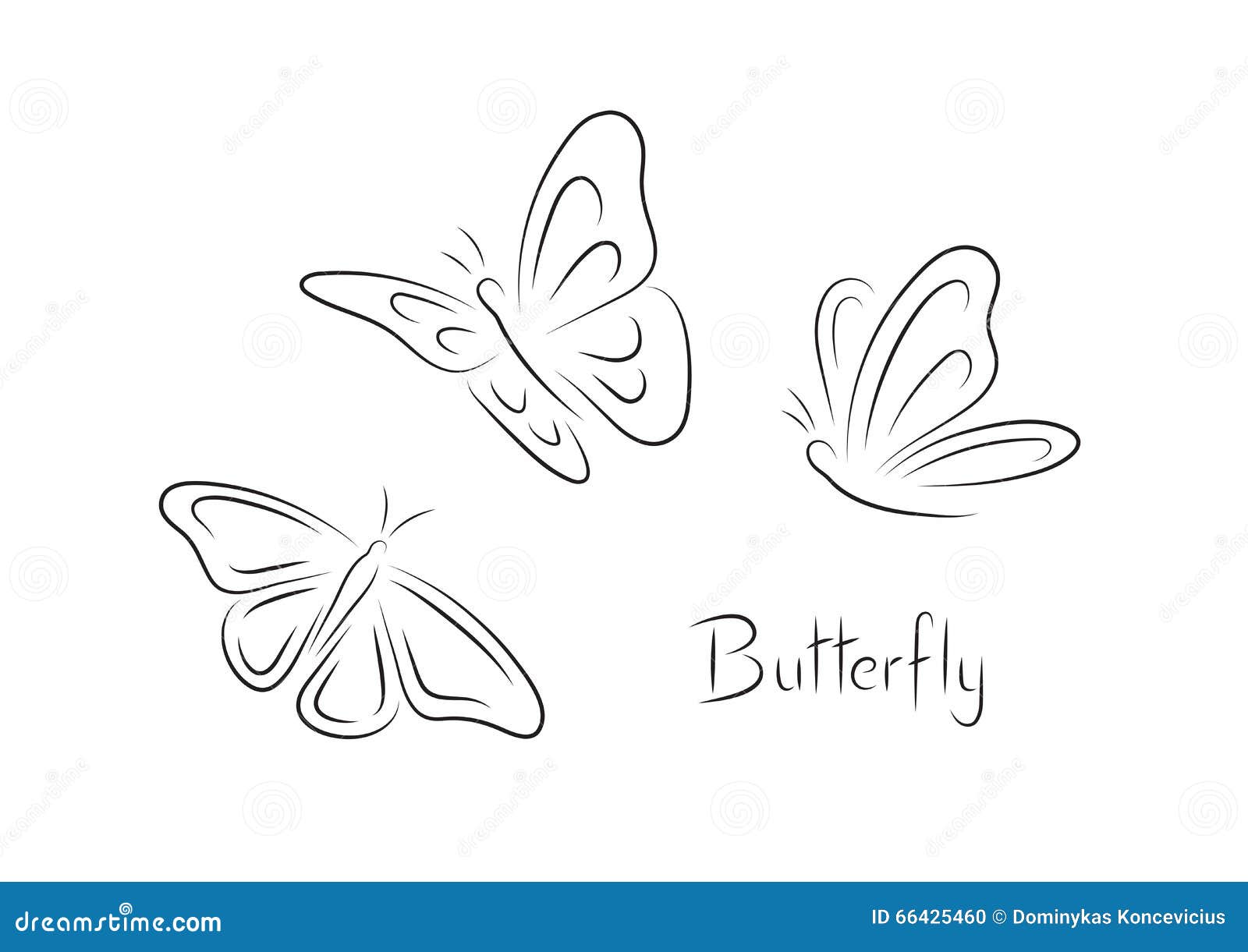 Butterfly stock vector. Illustration of drawing, decorative - 66425460