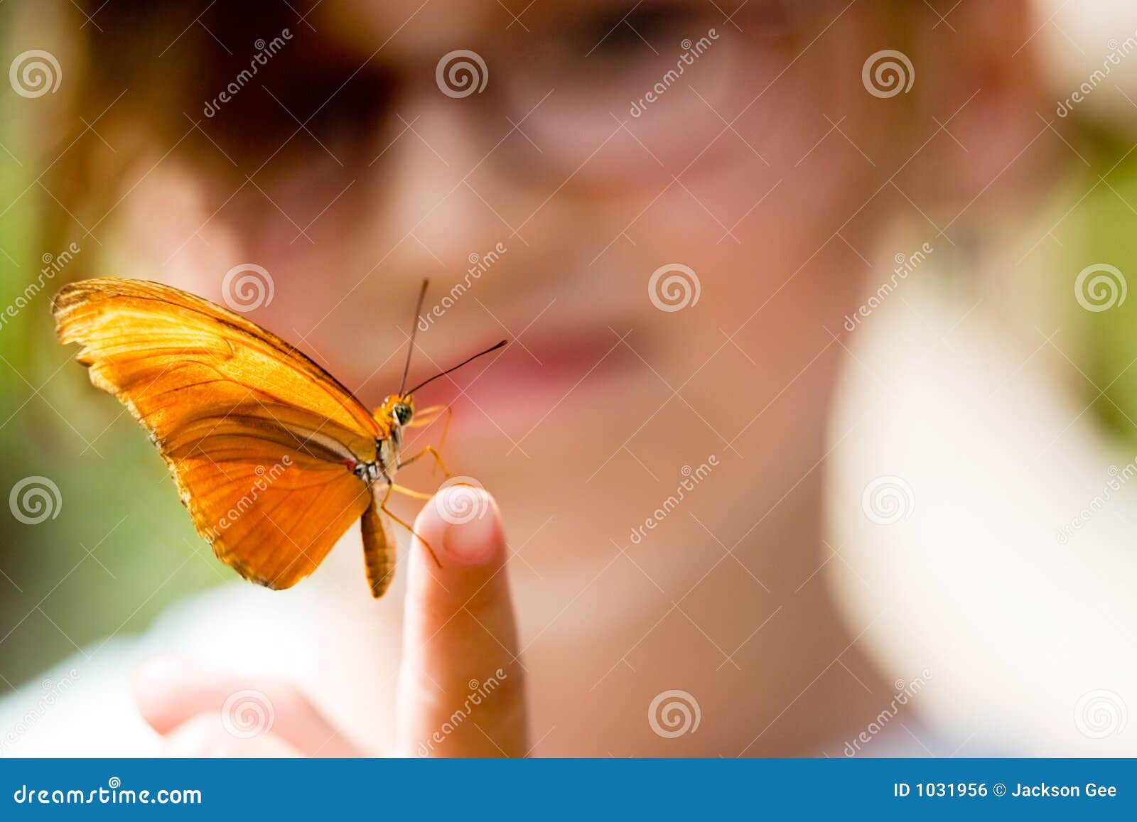 Butterfly touch stock photo. Image of orange, valentine - 1031956