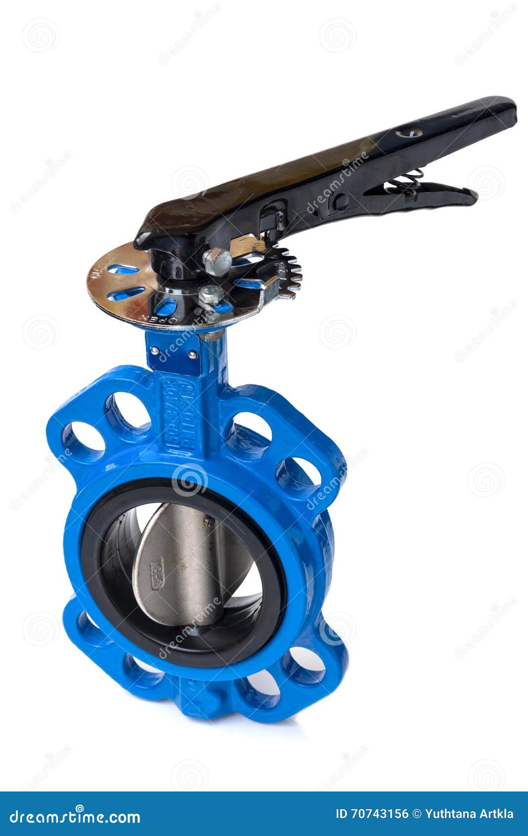 Butterfly Valve Of A Sprinkler Inside Ginger Plants Farm. Valve Helps ...